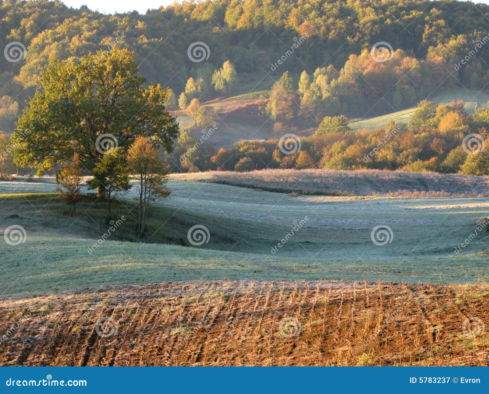 Early Morning Countryside Landscape Stock Image - Image of meadow ...