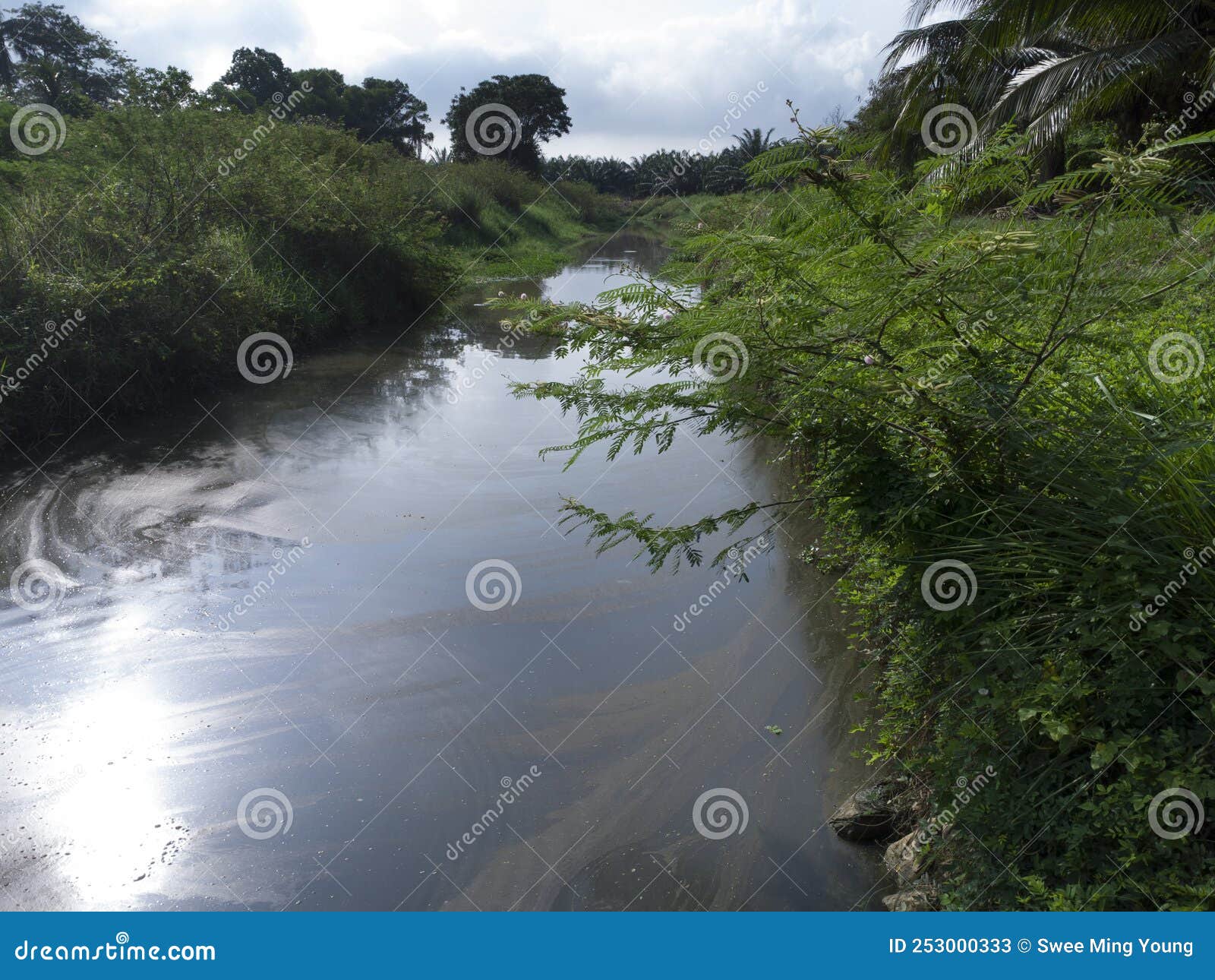 Early Morning or Dark Environment at the Irrigation River Stock Image ...