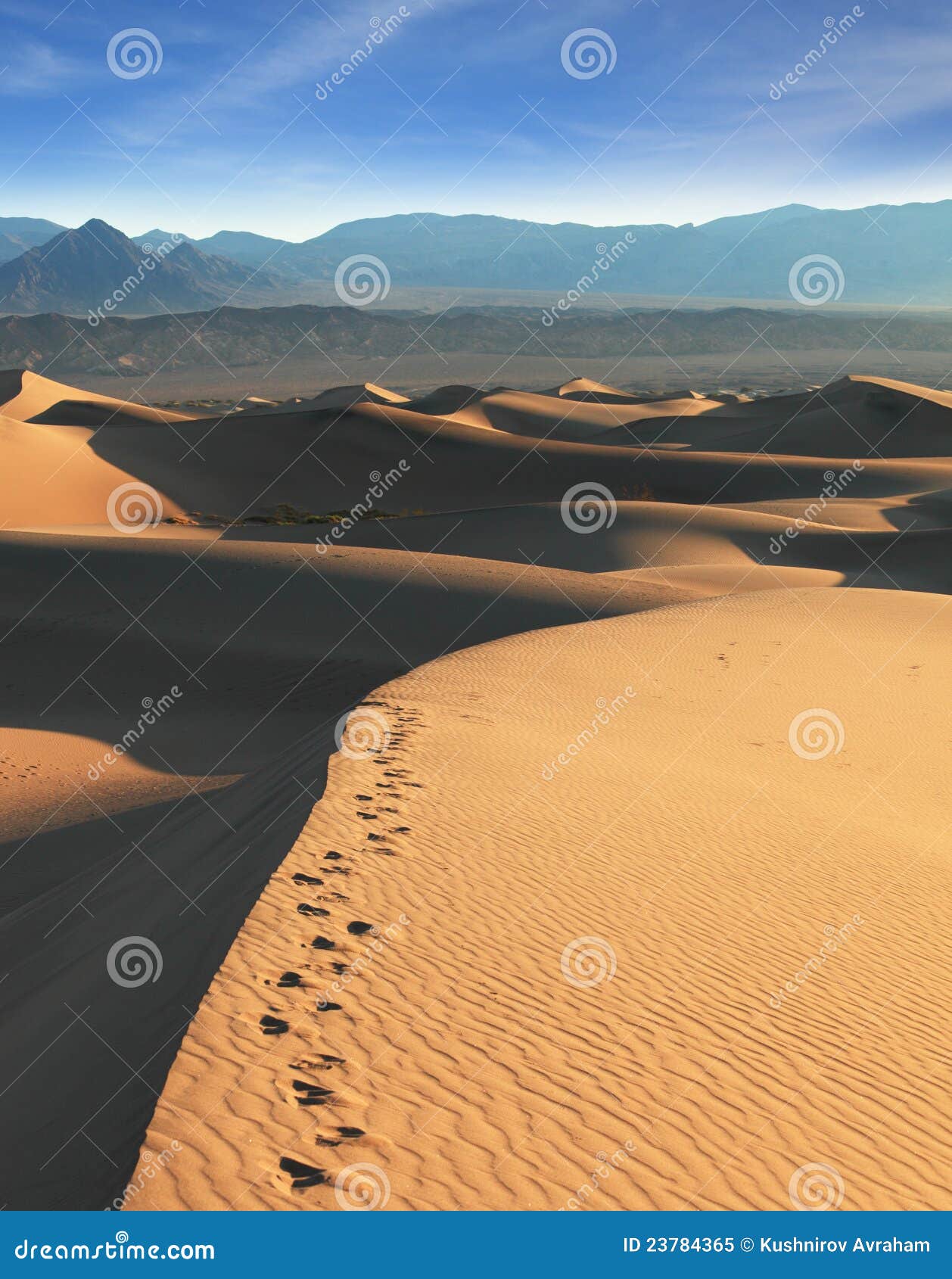 Early Morning in the Desert Stock Image - Image of white, dune: 23784365