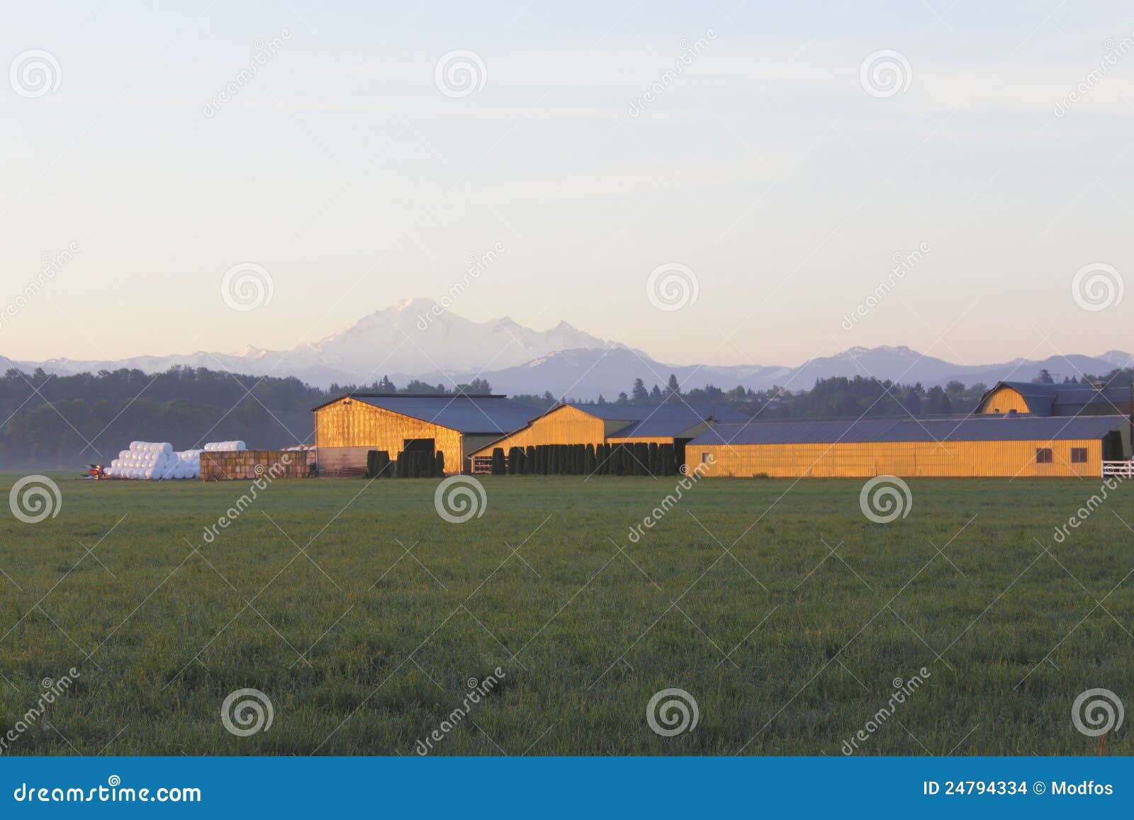 Early morning Farm Yard stock photo. Image of baker, mainland - 24794334