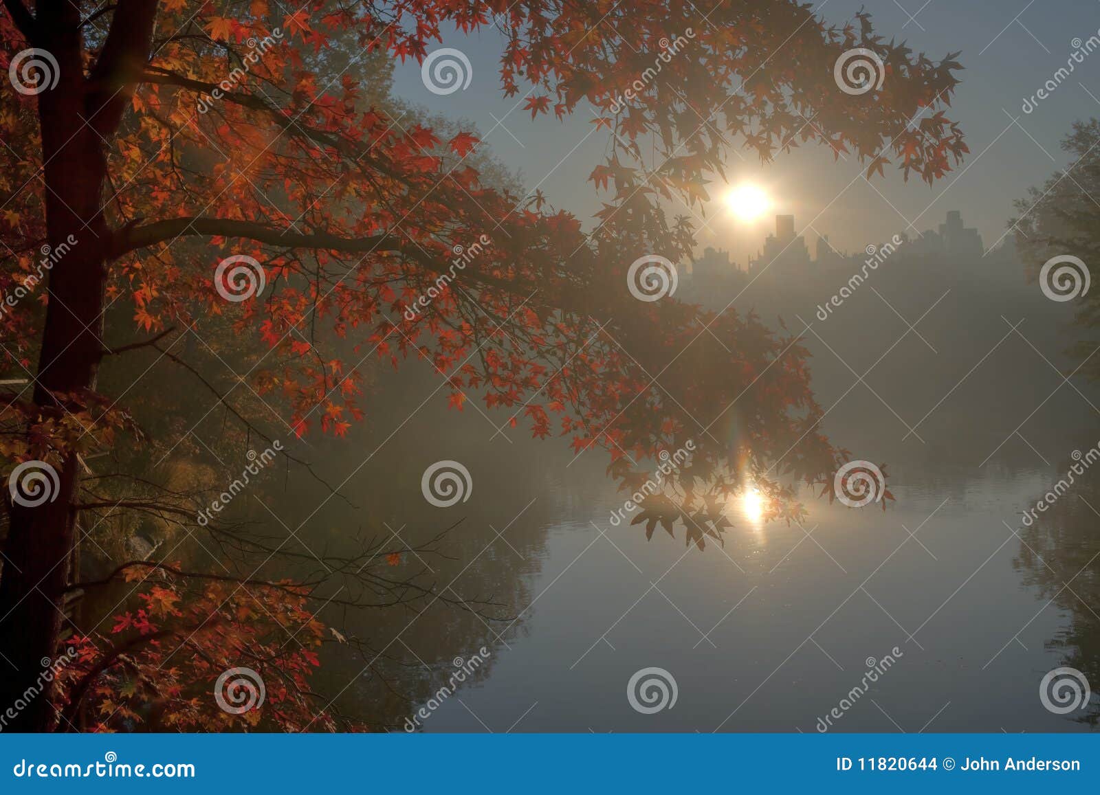Early morning in the fog stock photo. Image of park, mist - 11820644