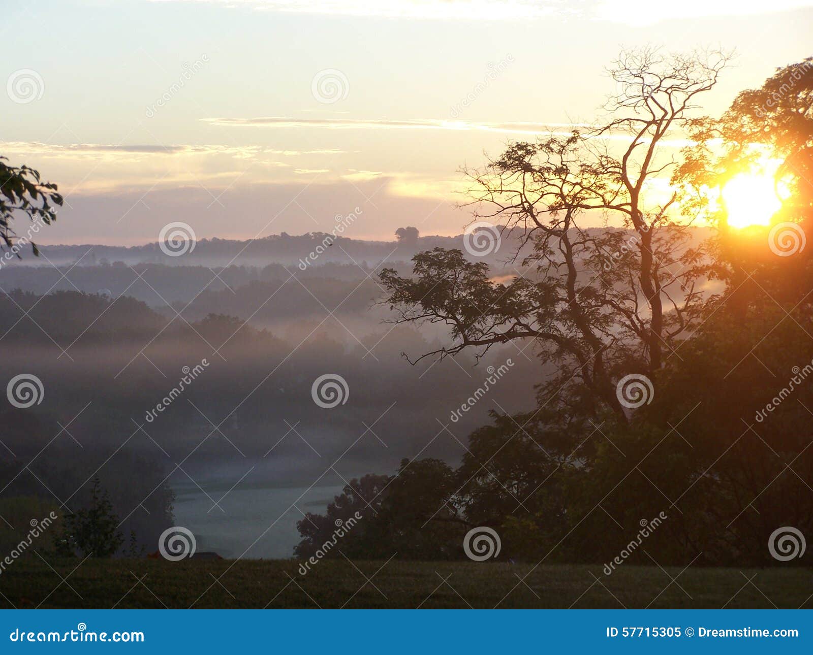 Early Morning Fog on the Golf Course Stock Image - Image of trees ...