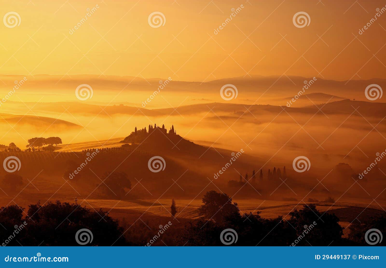 Early Morning Scene At Sagano Arashiyama Bamboo Forest In Kyoto, Japan ...