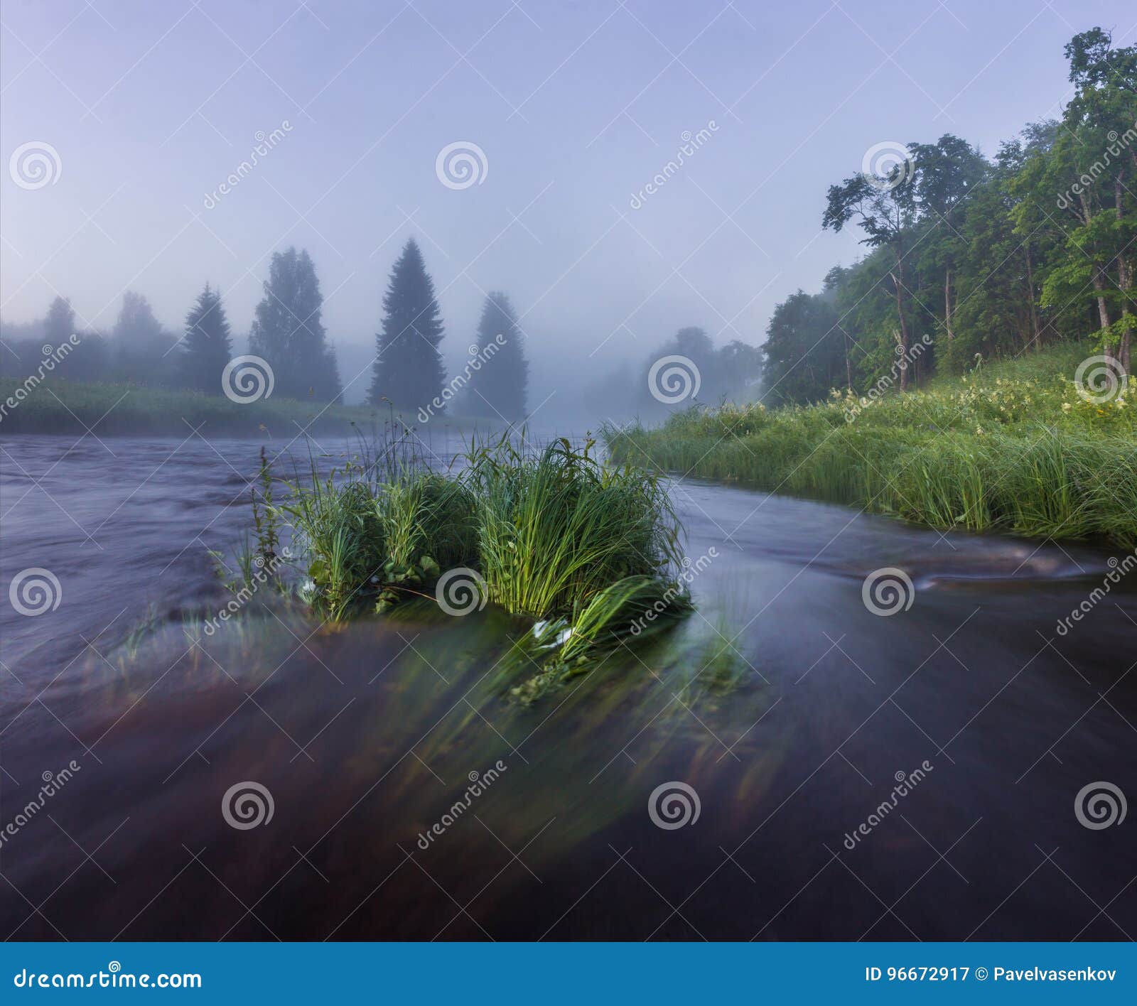 Early Morning on the Forest River Stock Image - Image of dawn, dusk ...