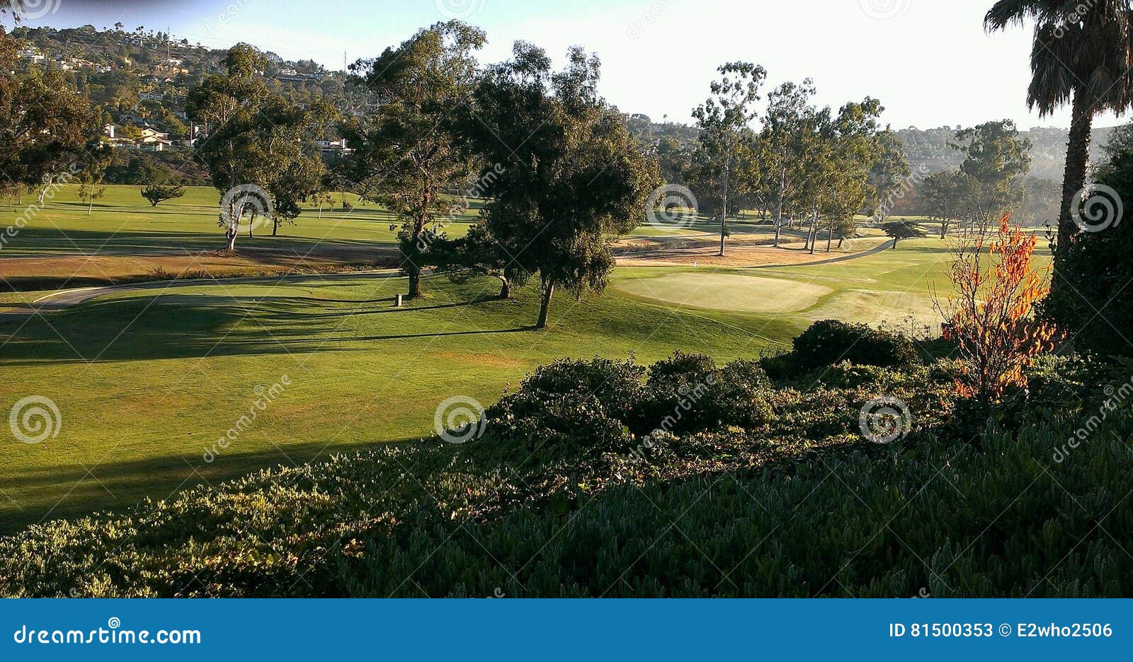 Early Morning on the Golf Course Stock Image - Image of green, morning ...