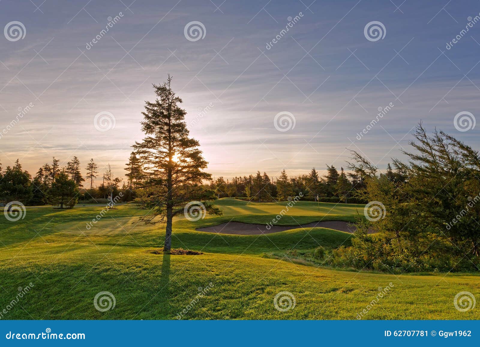 Early morning golf green stock image. Image of game, golf - 62707781