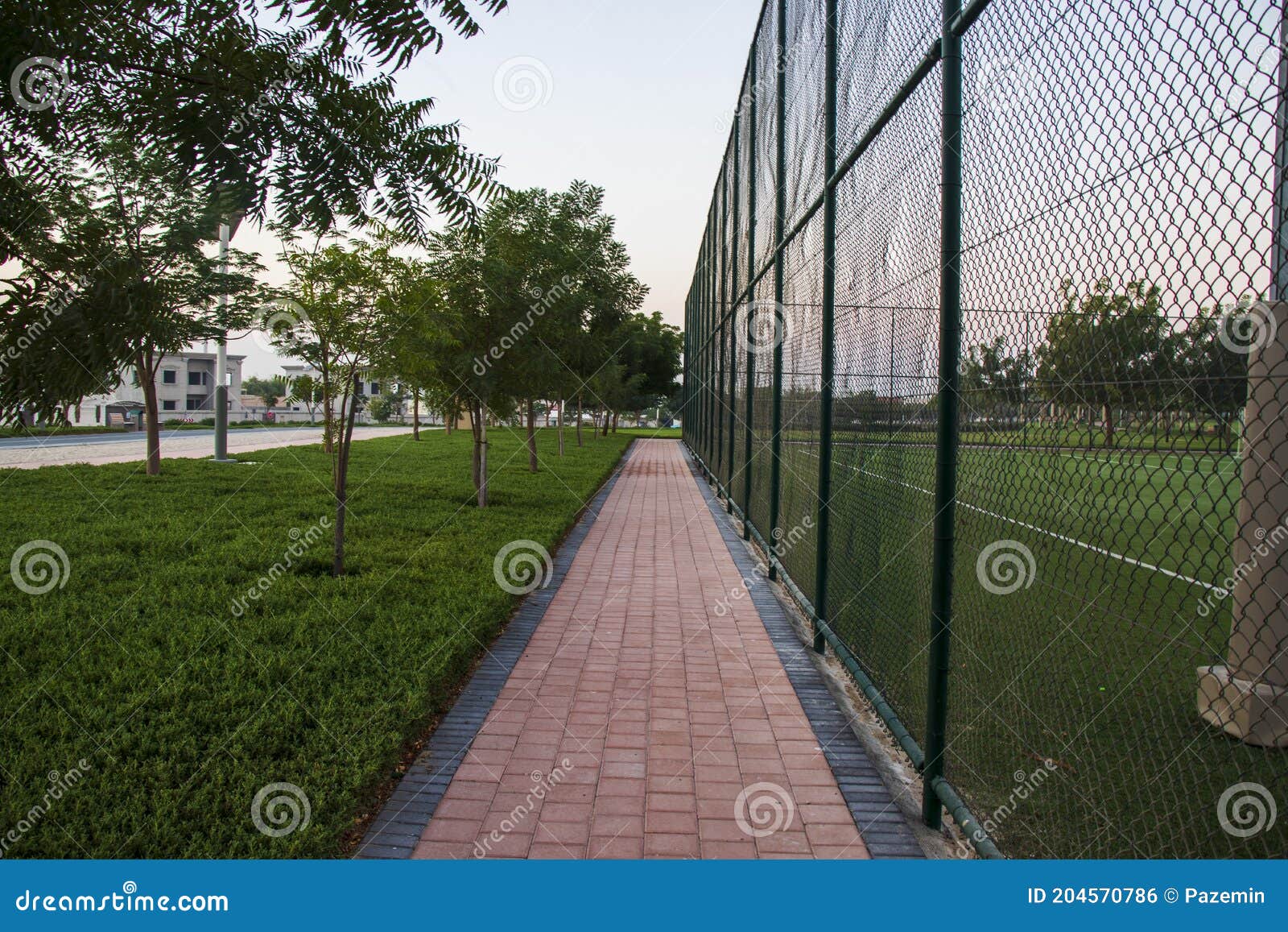 Early Morning Hour at the Park. Outdoors Stock Photo - Image of magenta ...