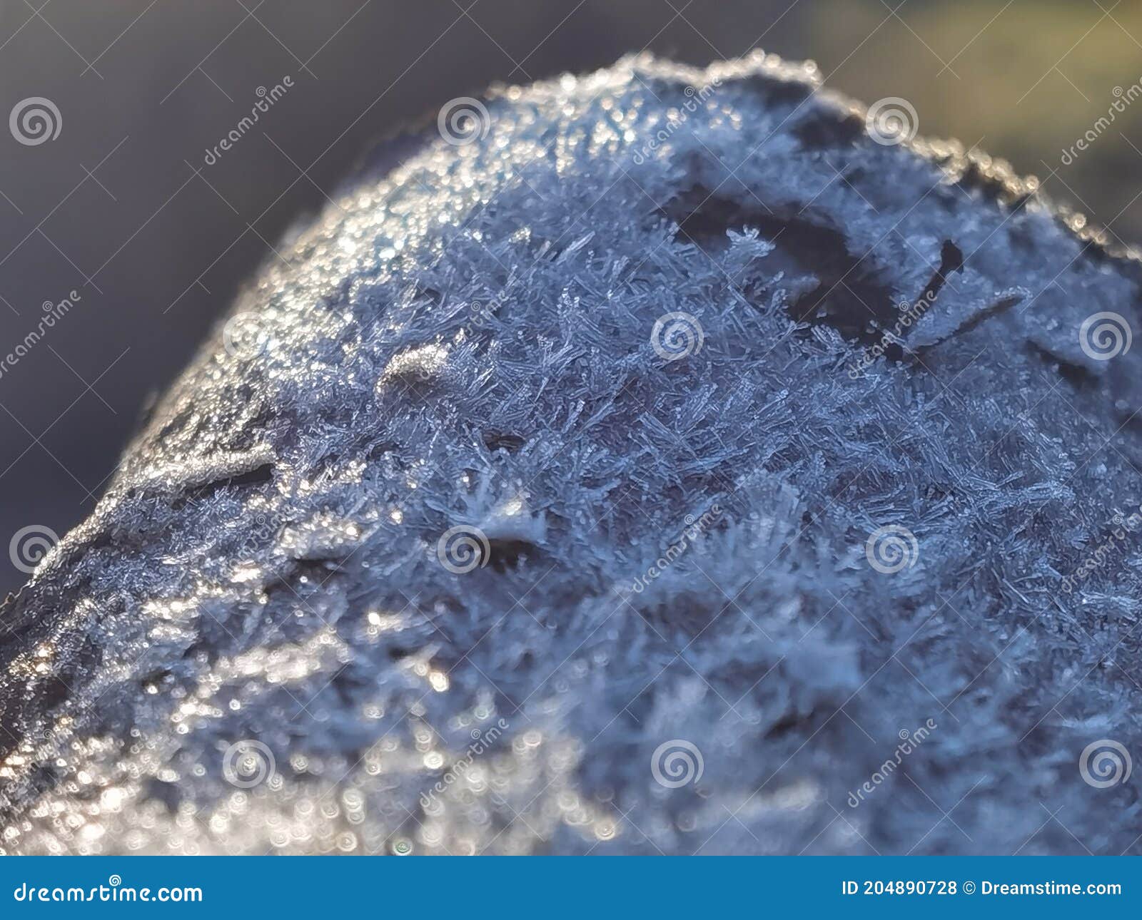 The early morning ice stock photo. Image of sunlight - 204890728