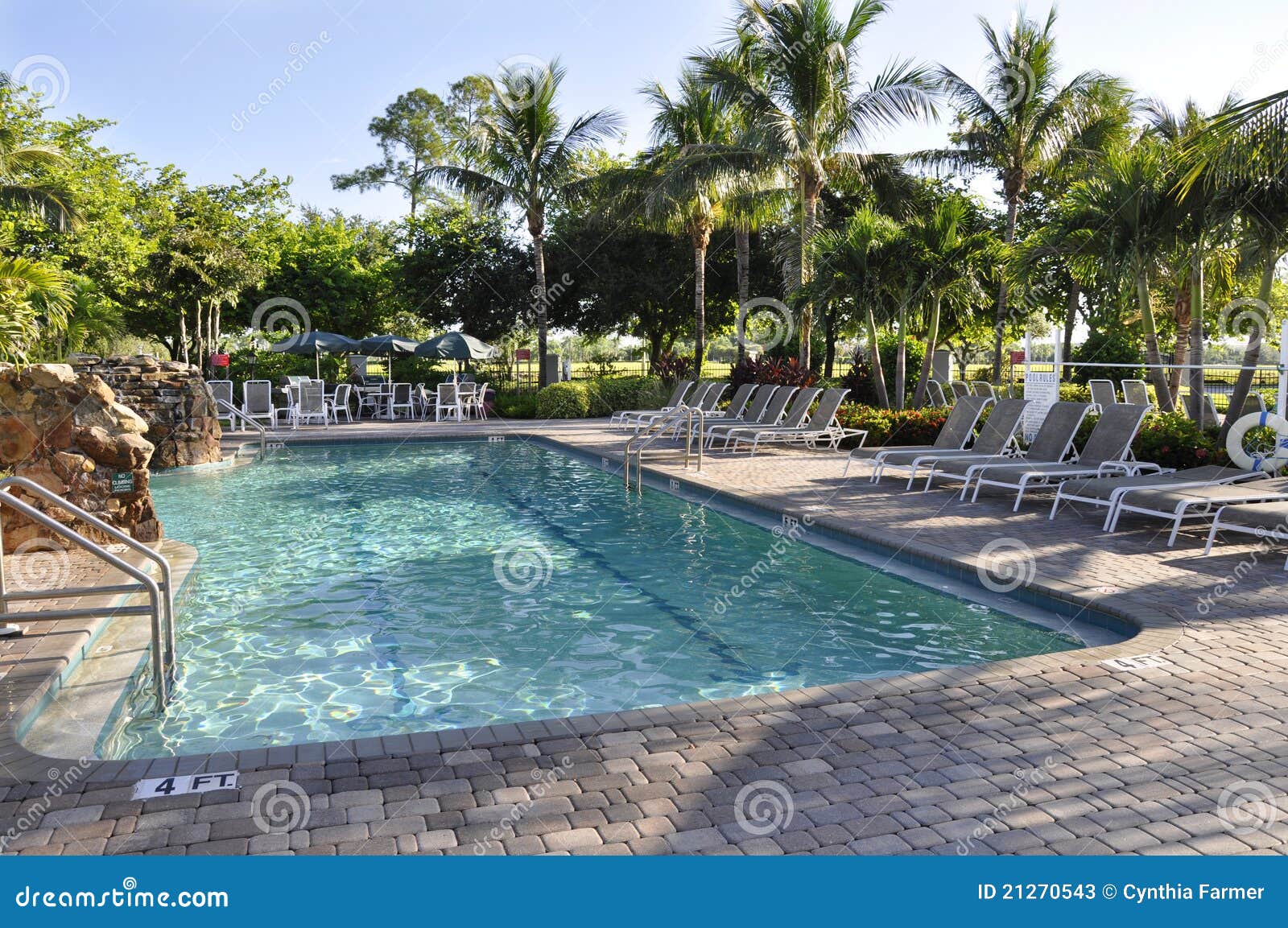 Early Morning by Inground Pool Stock Image - Image of lounge, quiet ...