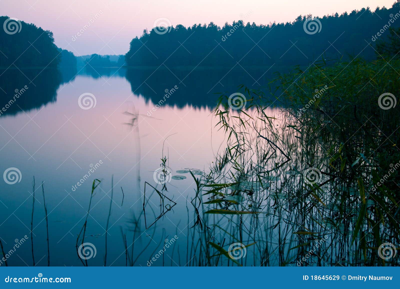 Early morning lake stock image. Image of loneliness, pond - 18645629