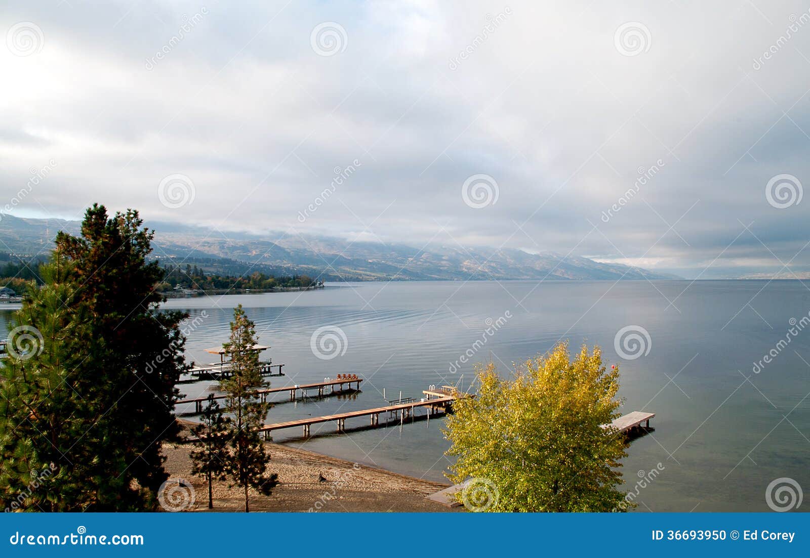 Early Morning Lake Front stock photo. Image of nature - 36693950