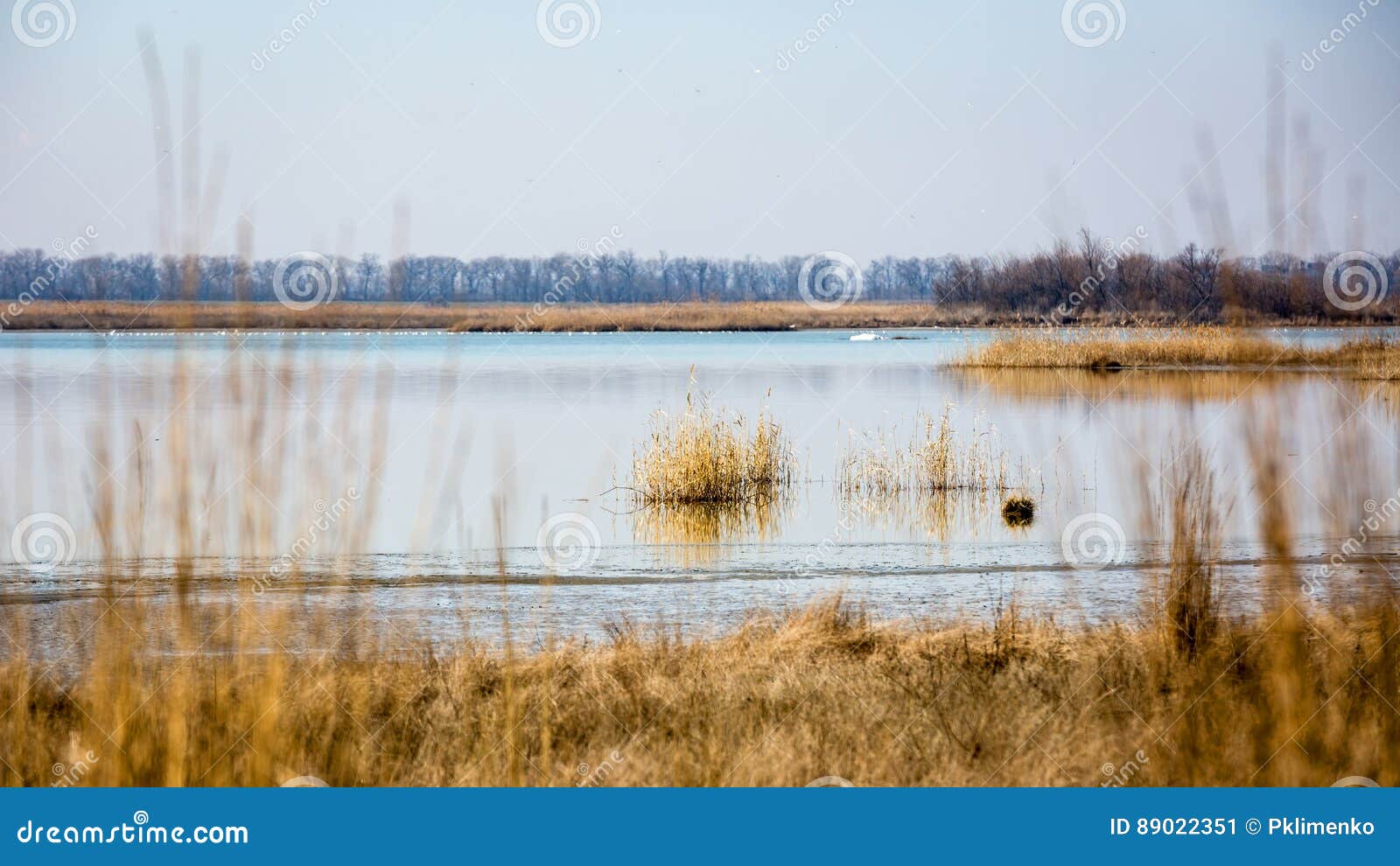 Early morning on lake stock image. Image of mist, ukraine - 89022351