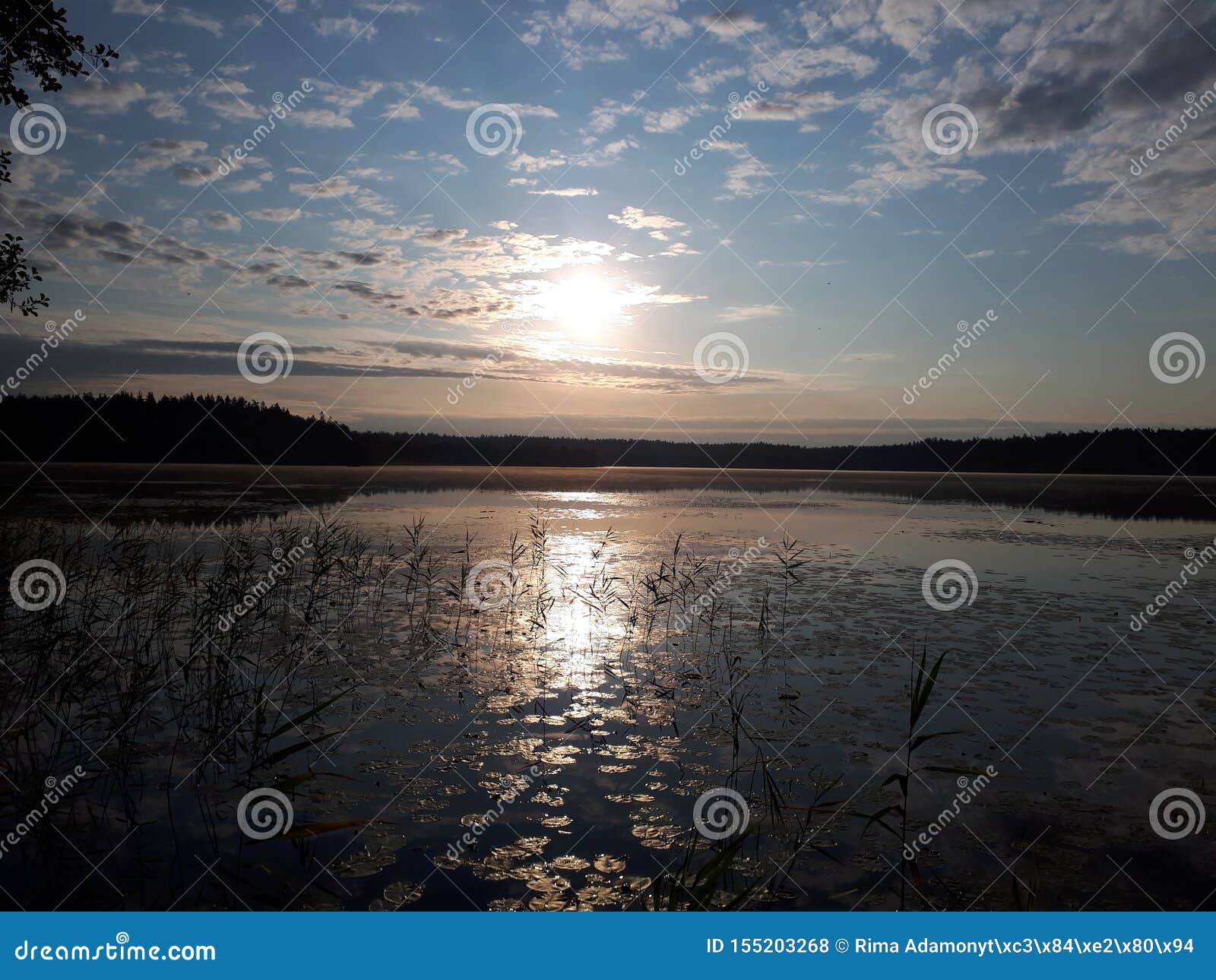 Early Morning at the Lake 1 Stock Photo - Image of morning, lake: 155203268