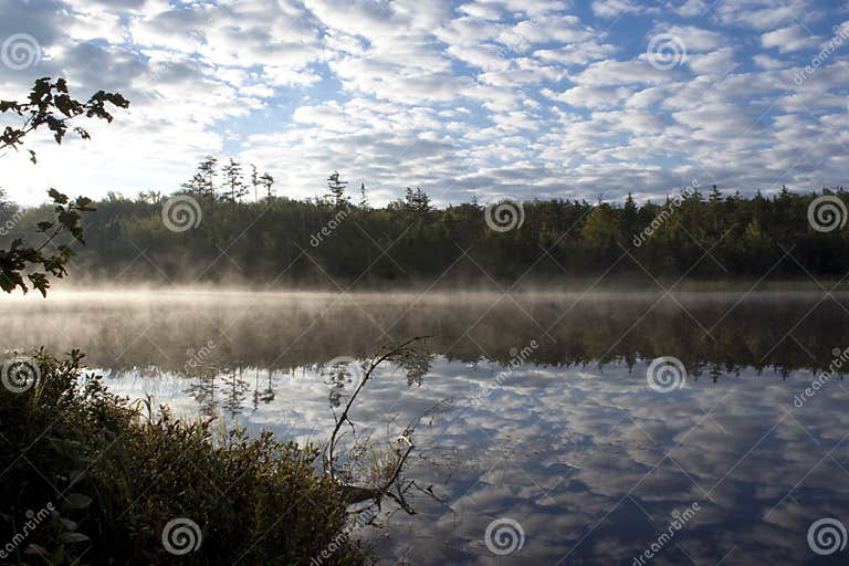 Early Morning Landscape stock image. Image of reserve - 15949721