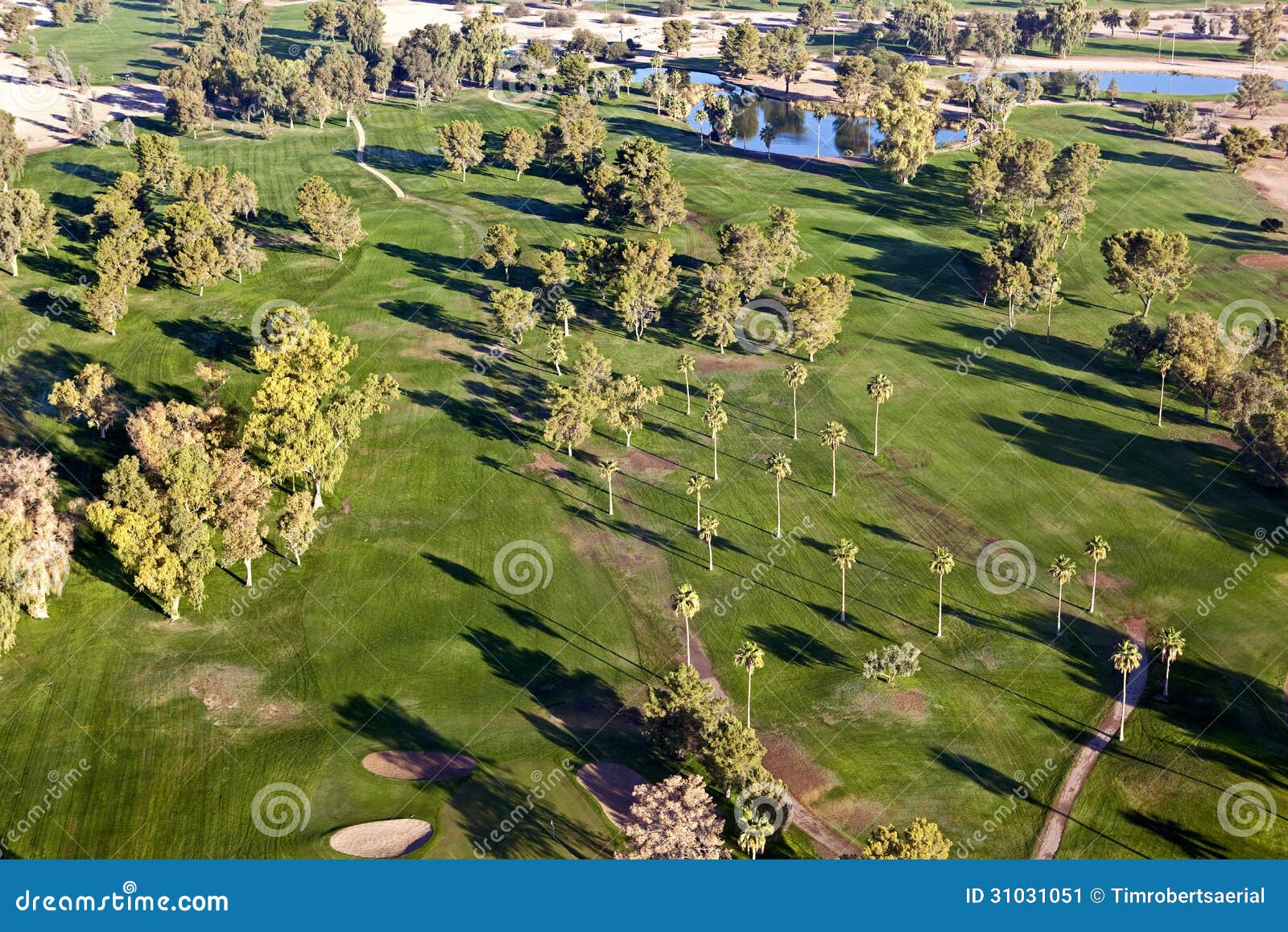 Early Morning Light on Golf Course Stock Image - Image of fairway ...