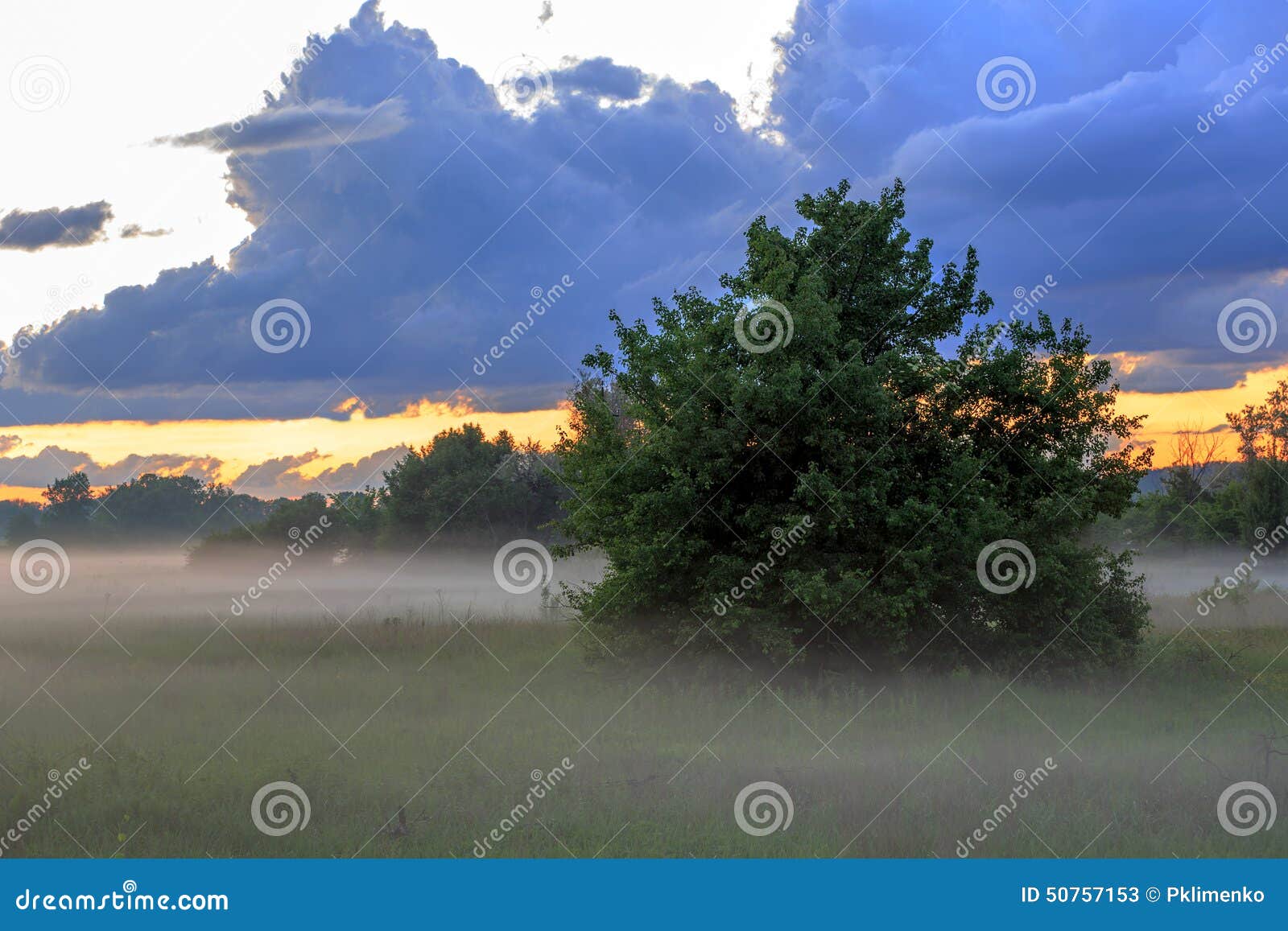 Early morning on meadow stock image. Image of environment - 50757153