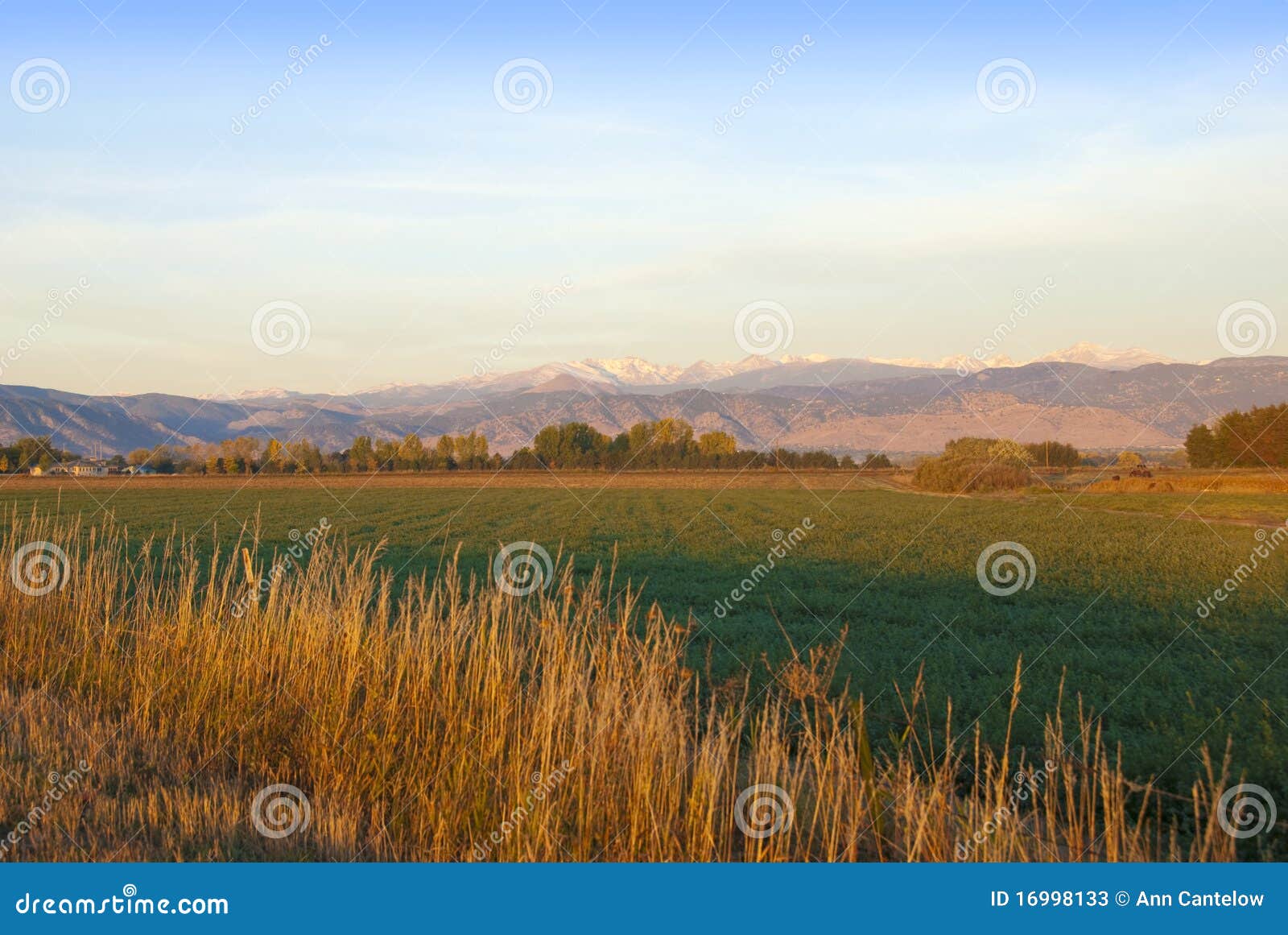 Early Morning Mountain View Stock Image - Image of hazy, spacious: 16998133