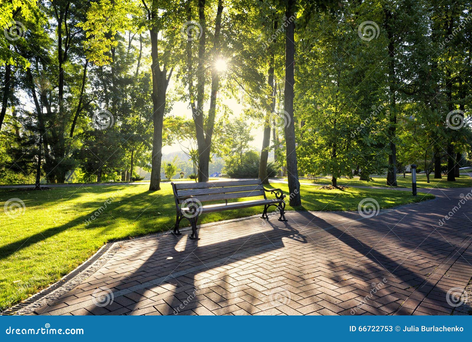 Early morning in the park stock image. Image of shadows - 66722753