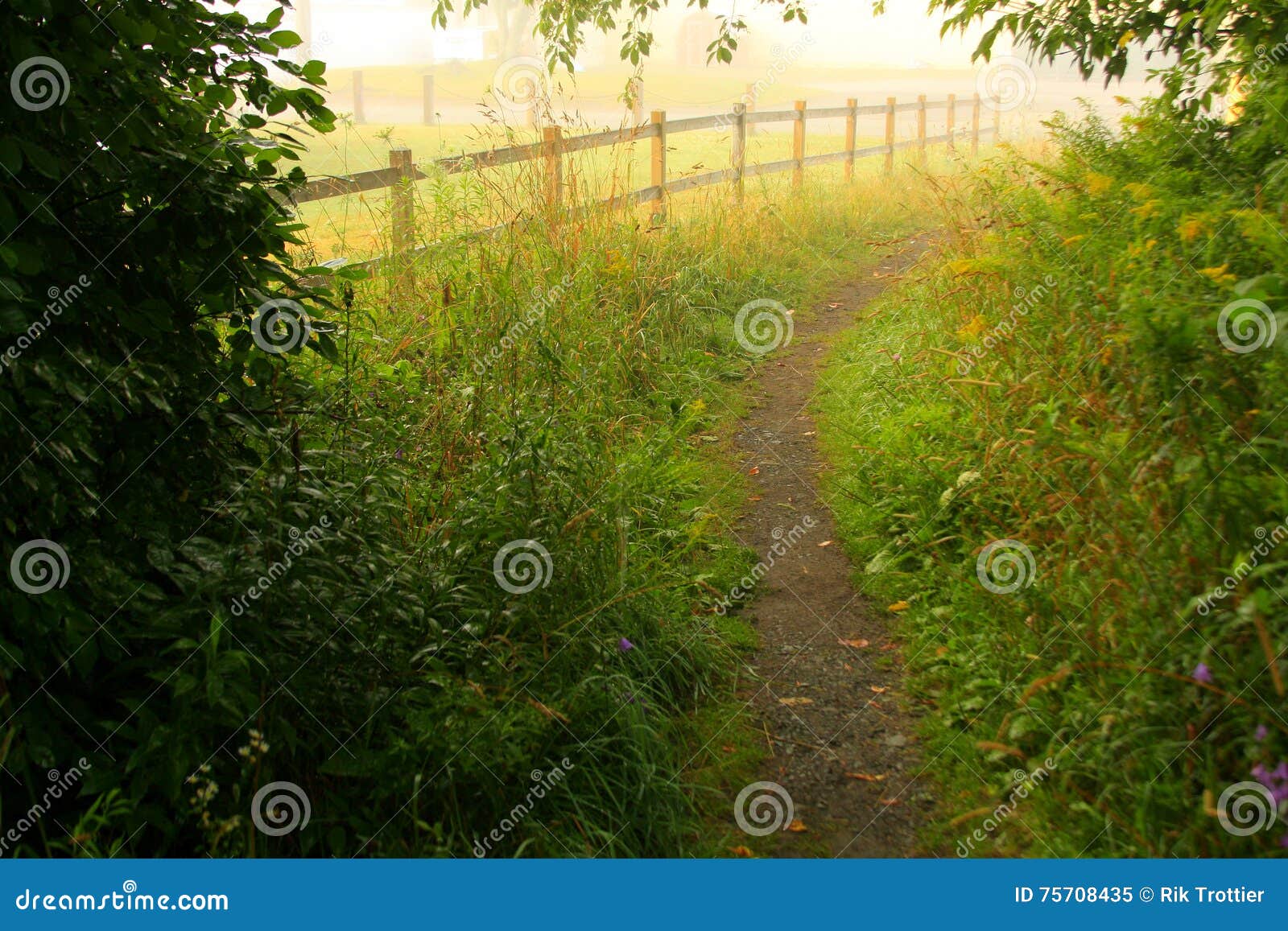Early morning path stock image. Image of home, morning - 75708435