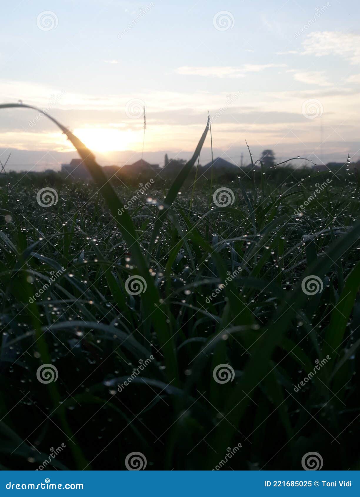 Early Morning Real Pic stock image. Image of real, morning - 221685025