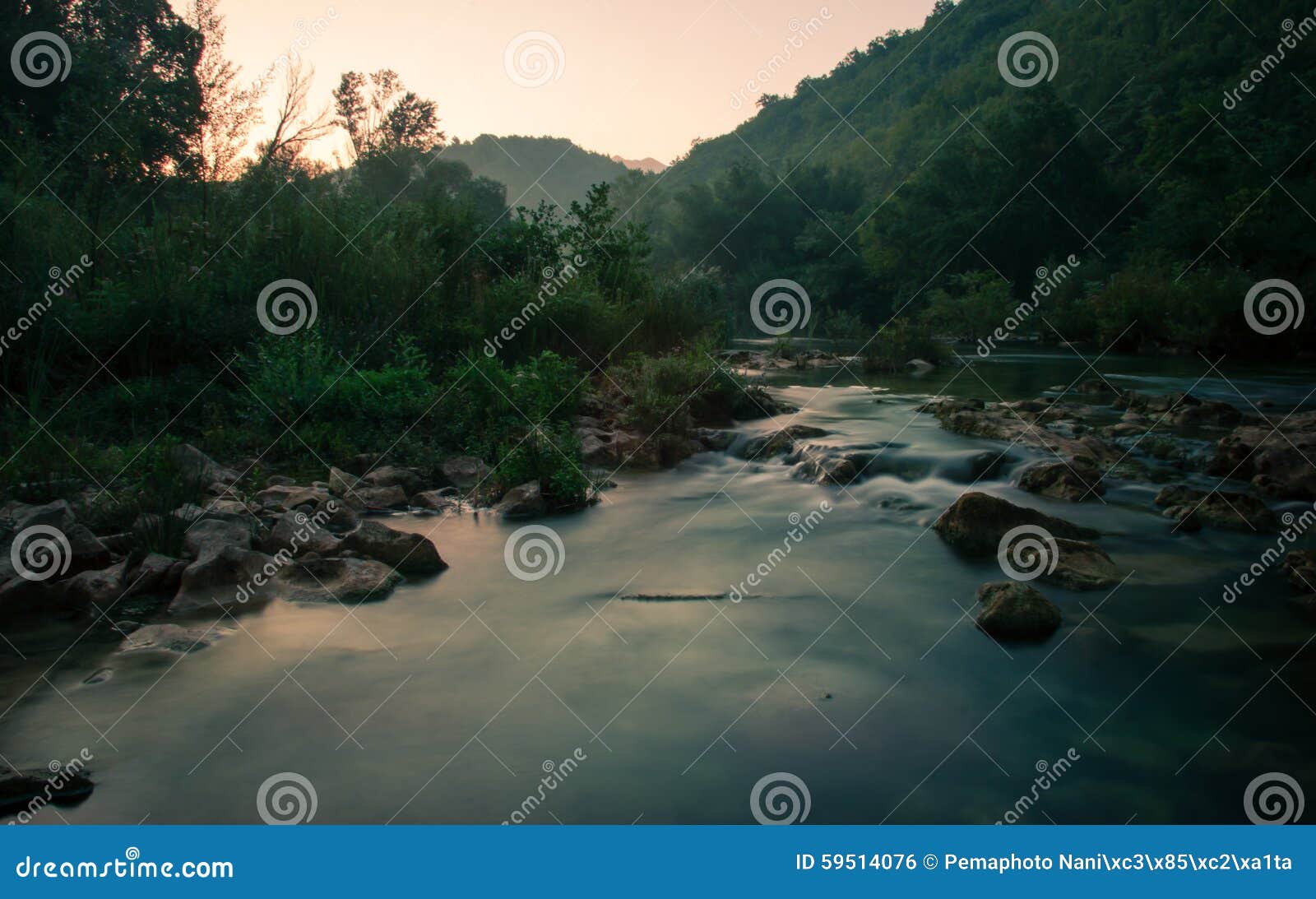 Early Morning River stock photo. Image of rivers, trees - 59514076