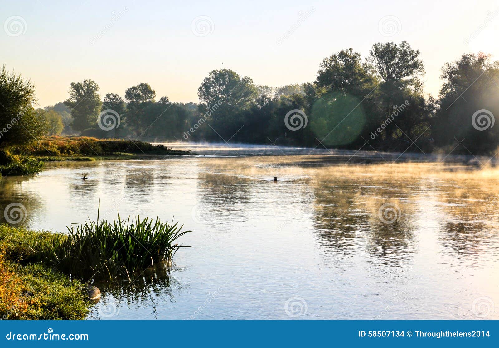 Early Morning River Scene with Mist and Trees Stock Photo - Image of ...