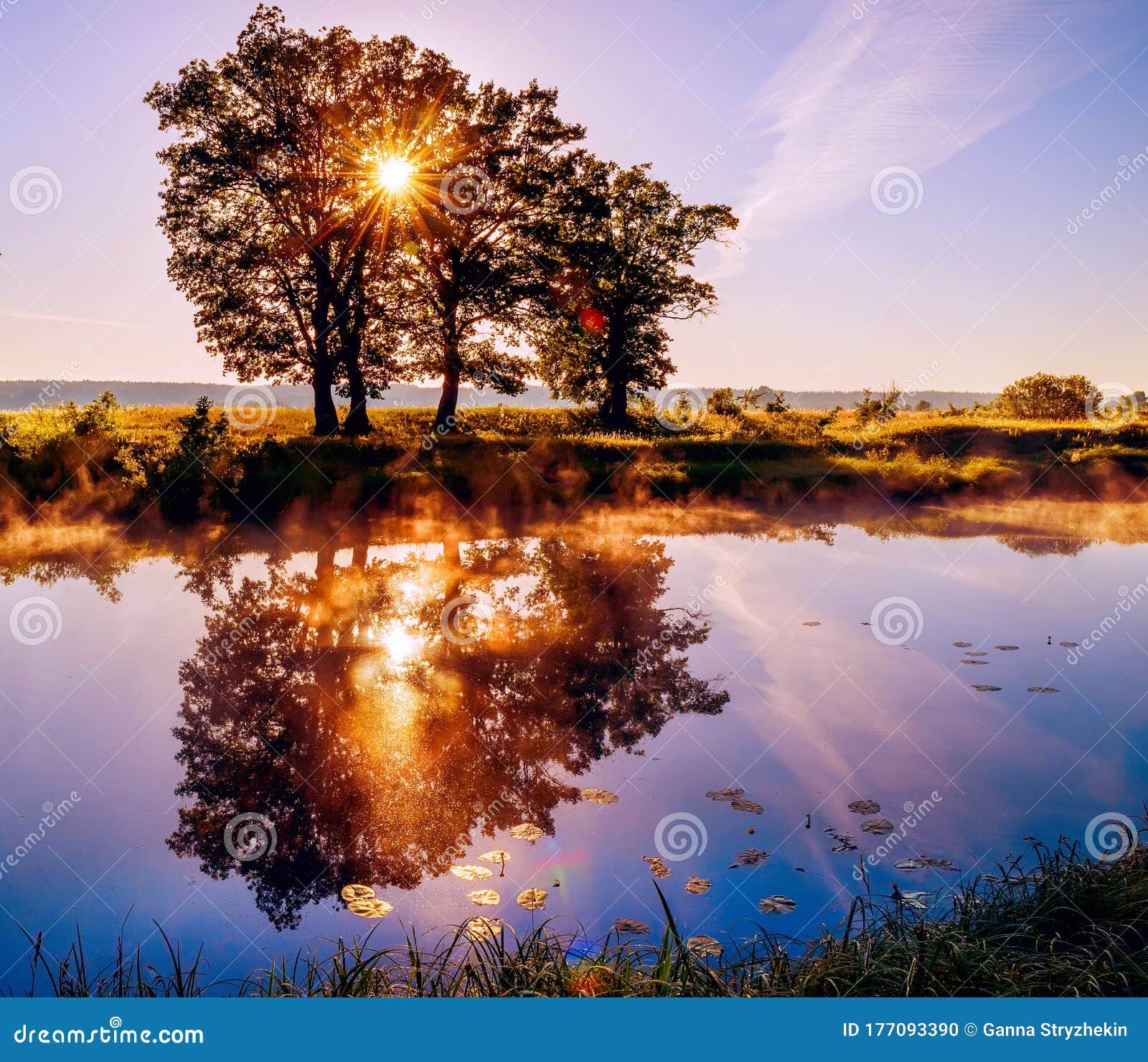 Early Morning on the River in the Summer, in the Spring. the Rays of ...