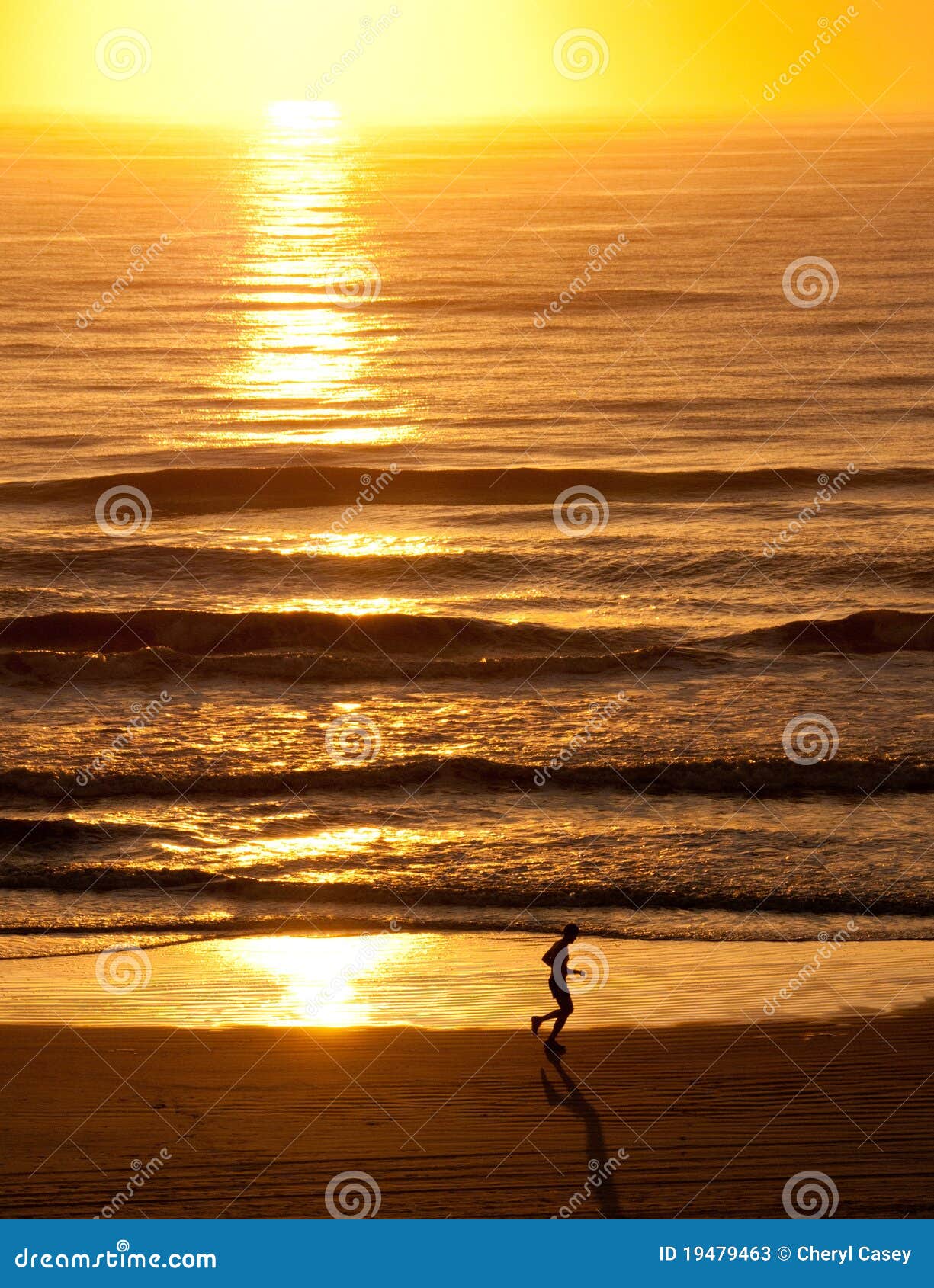 Early Morning Run stock image. Image of racer, marathon - 19479463