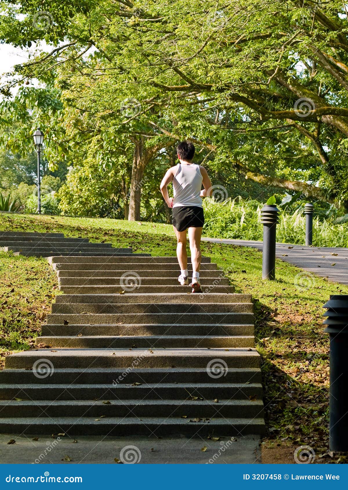 Early Morning Run stock photo. Image of young, steps, fitness - 3207458