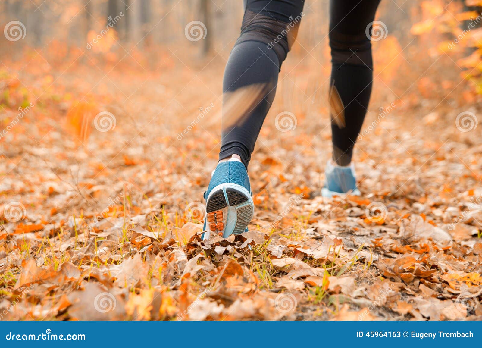 Early morning run stock image. Image of people, woods - 45964163