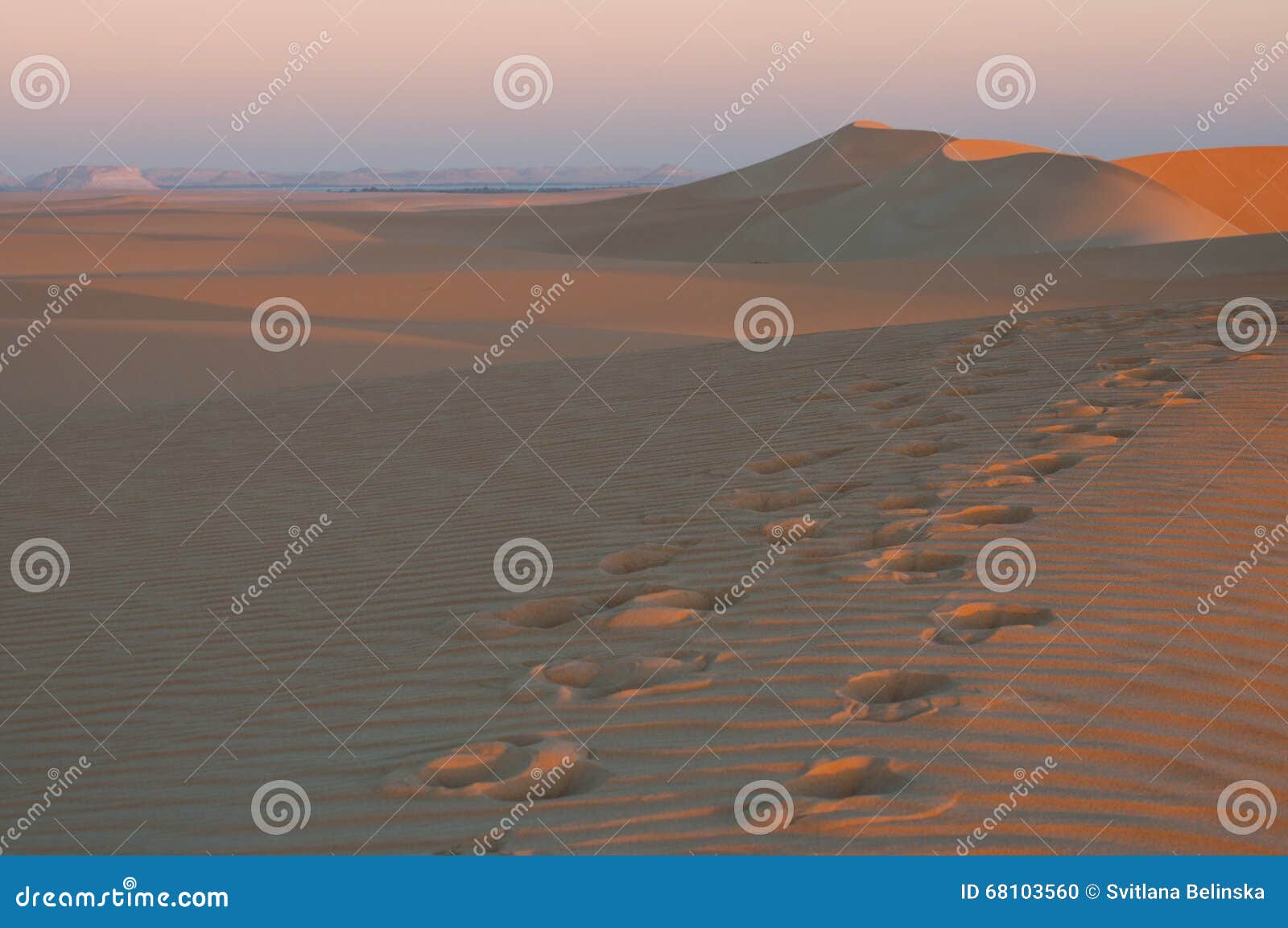 Early Morning in Sahara Desert in Egypt Stock Photo - Image of dune ...