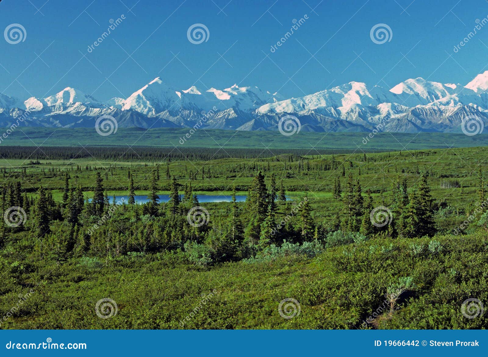 Early Morning Shadows on the Alaska Range Stock Photo - Image of ...