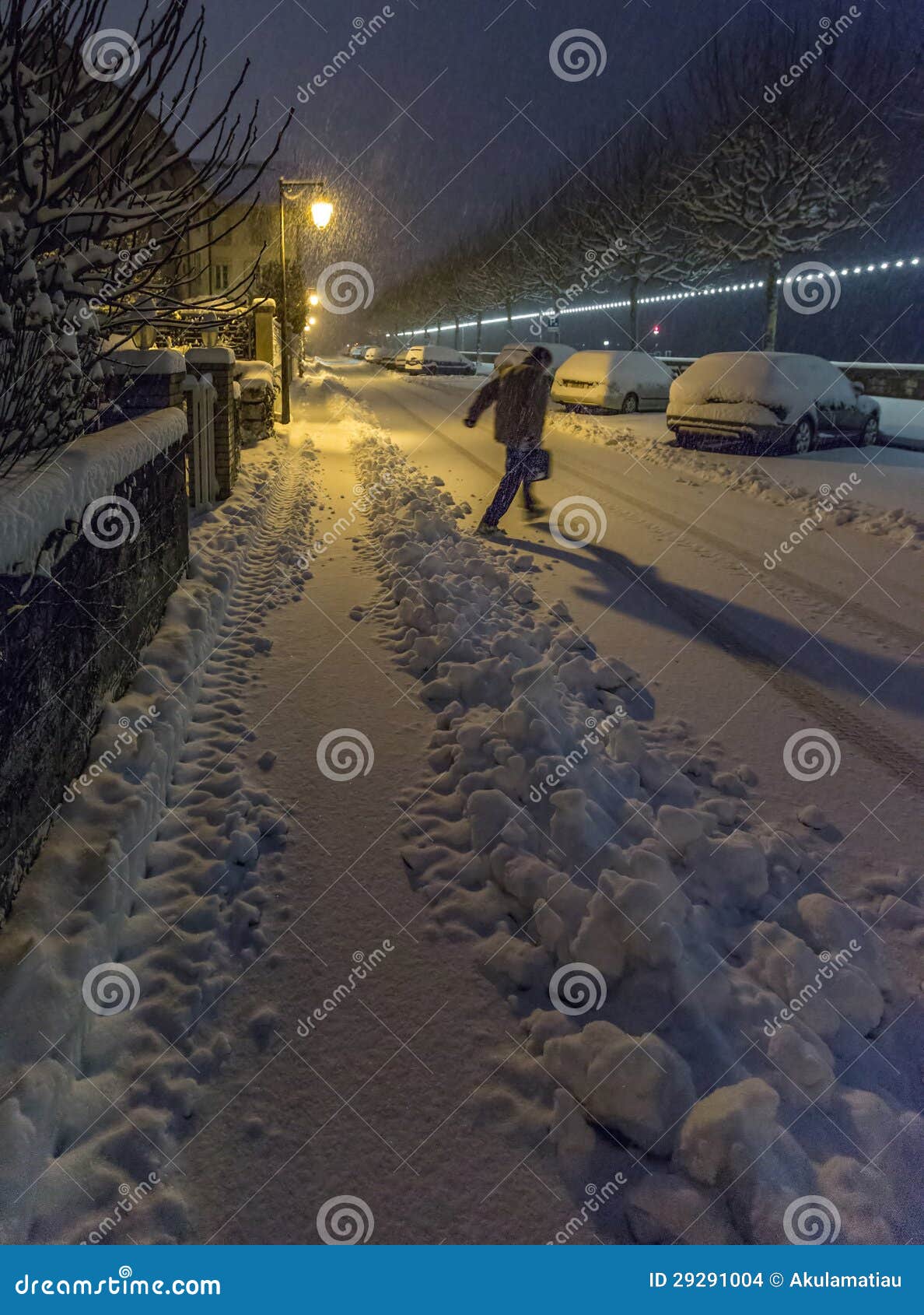 Early Morning Snow editorial stock image. Image of white - 29291004
