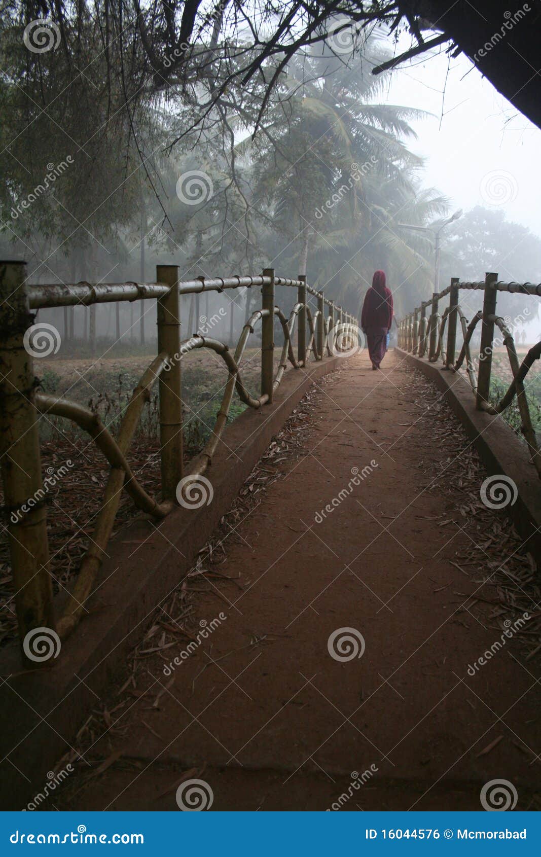 Early Morning Stroll stock photo. Image of stroll, movement - 16044576