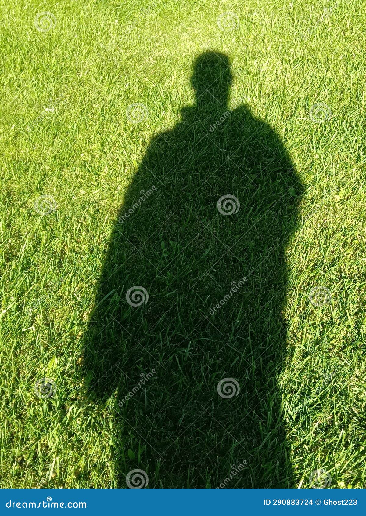 Early Morning Sun Casting My Shadow Across the Grass Stock Photo ...