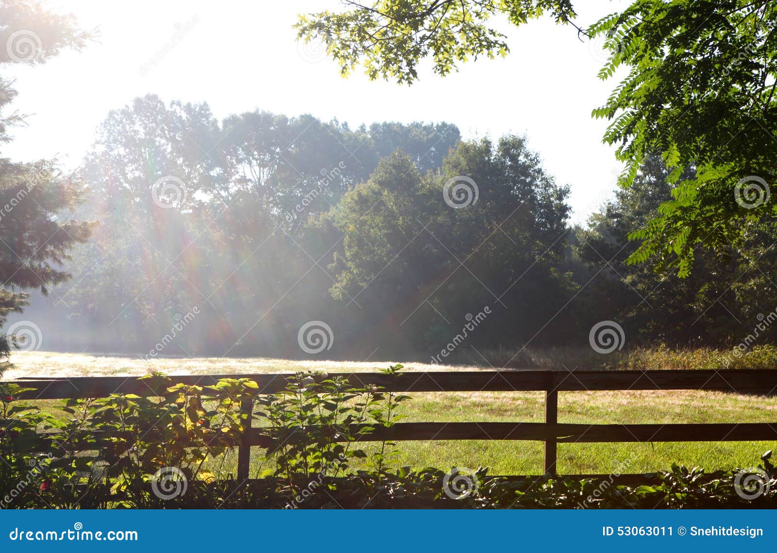 Early morning sun rays stock image. Image of season, meadow - 53063011