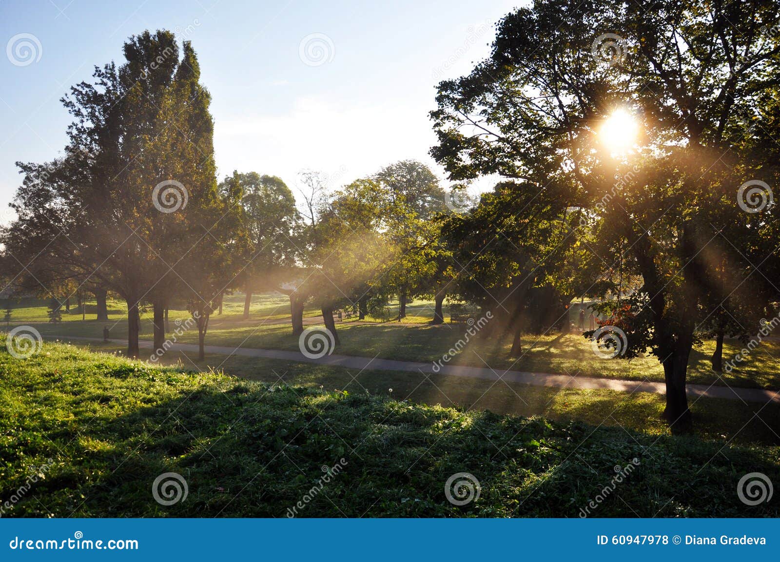 Early Morning Sunshine stock photo. Image of nature, natural - 60947978