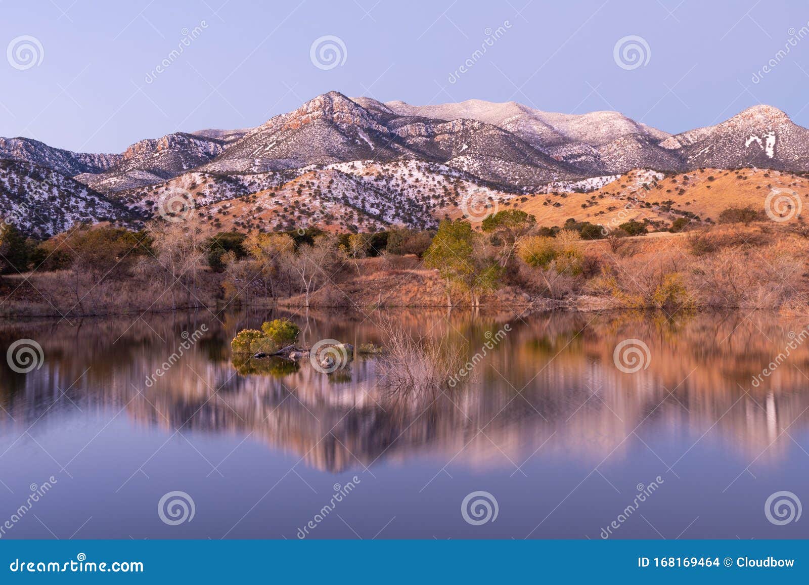 Early Morning Tranquility on the Pond Stock Photo - Image of quiet ...