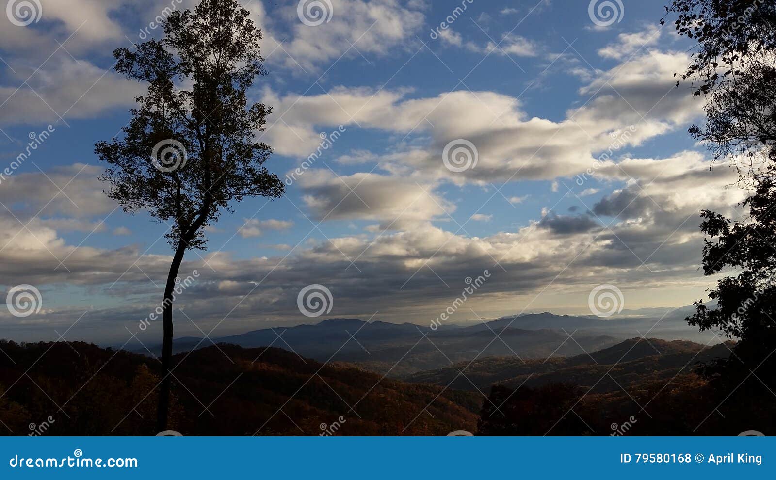 Early Morning view stock photo. Image of early, morning - 79580168