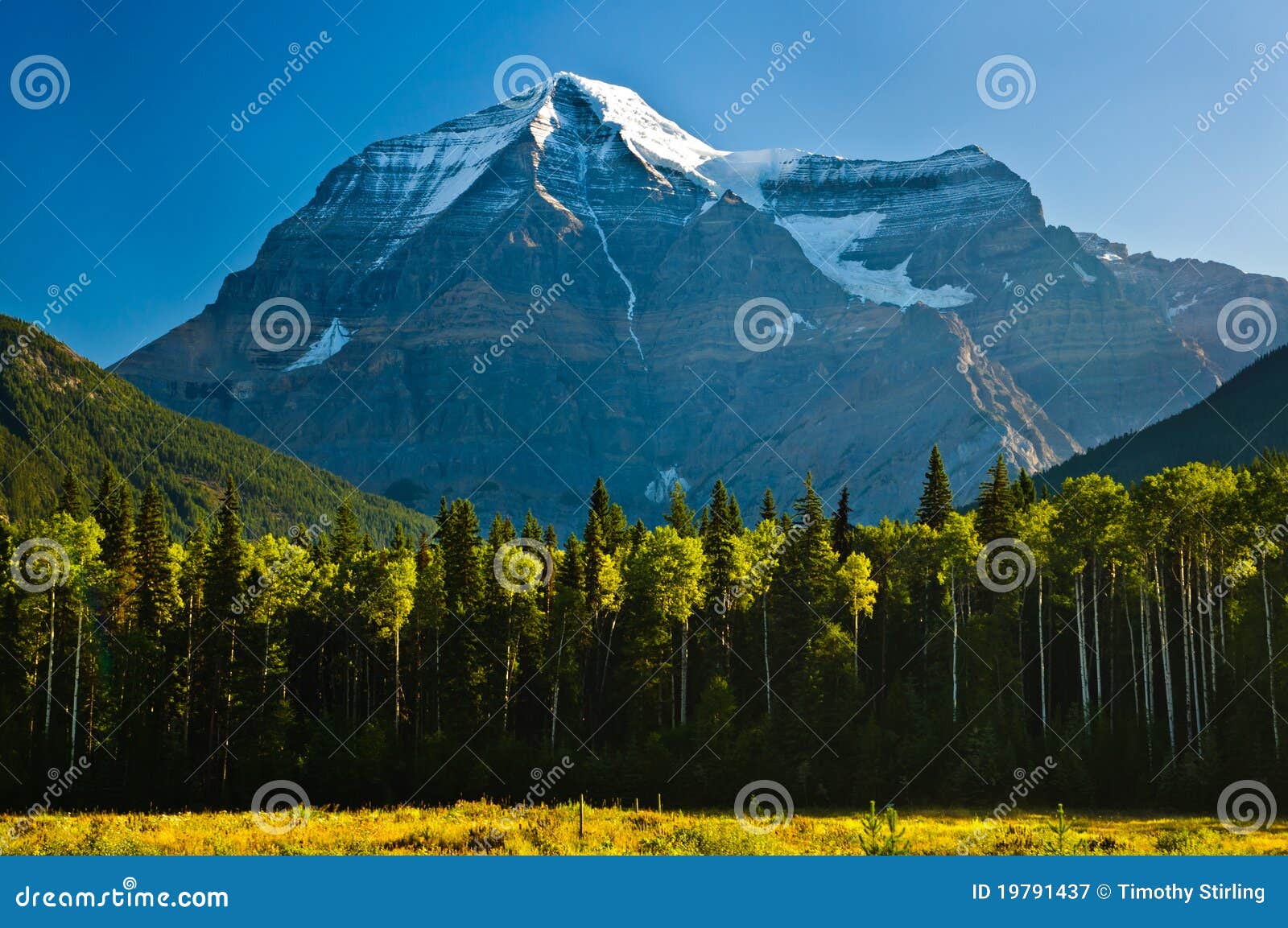 Early Morning View of Mount Robson Stock Image - Image of columbia ...
