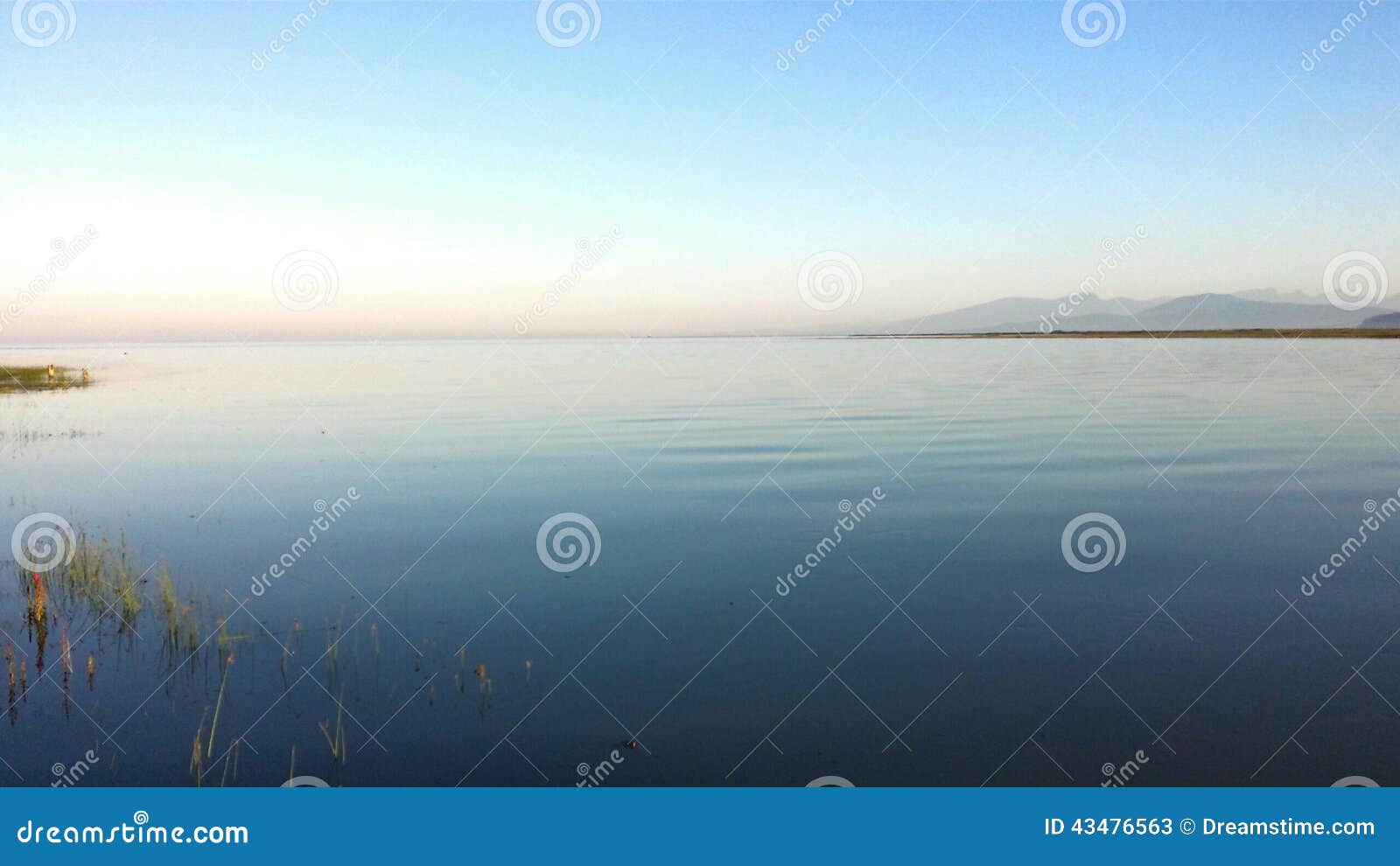 Early morning stock image. Image of early, view, water - 43476563