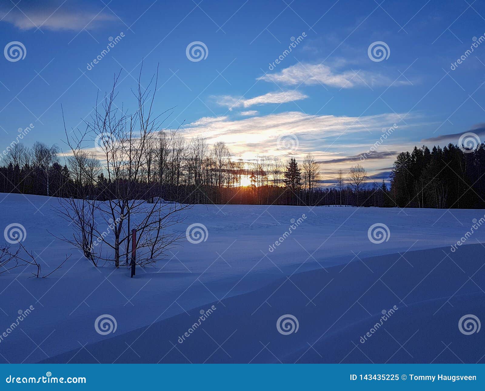 Early Morning Winter Scene in Hedmark County Norway Stock Image - Image ...