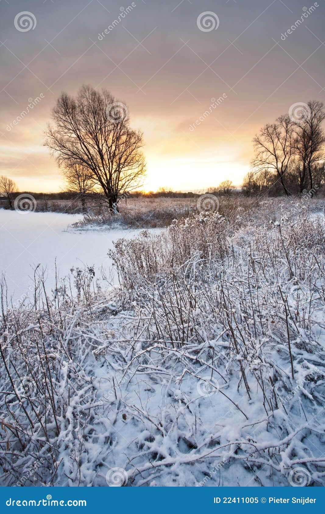 Early Morning Winter Scenic Stock Image - Image of northern, scenic ...