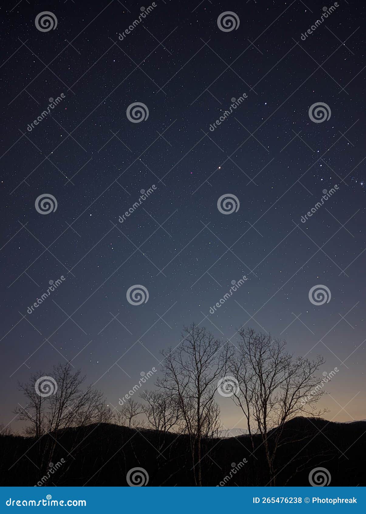 Early Night Sky with Stars Over the Mountain and Trees Stock Photo ...