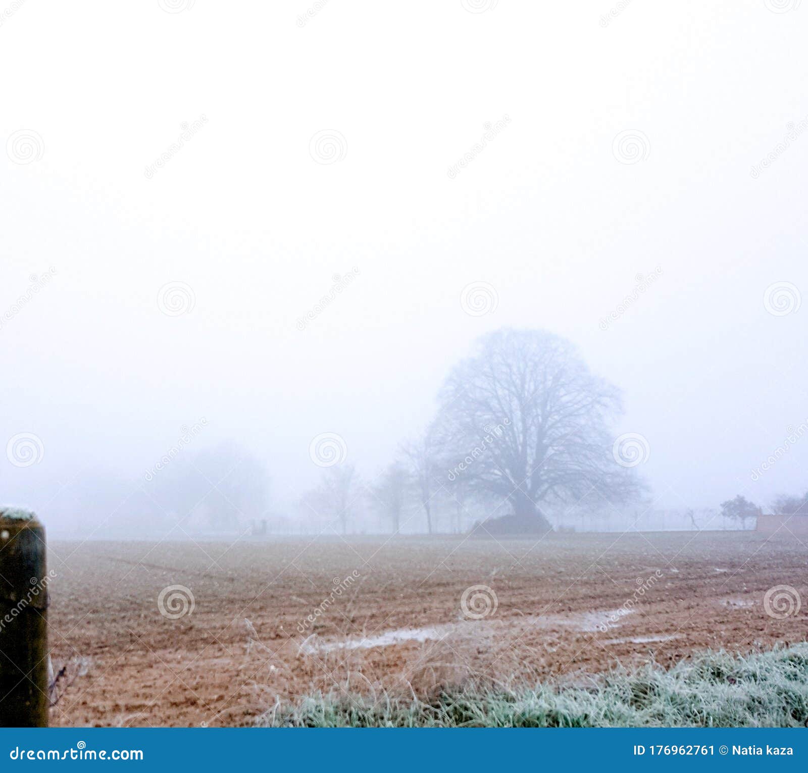 Early Orning Walking Adventure Stock Image - Image of adventure, early ...