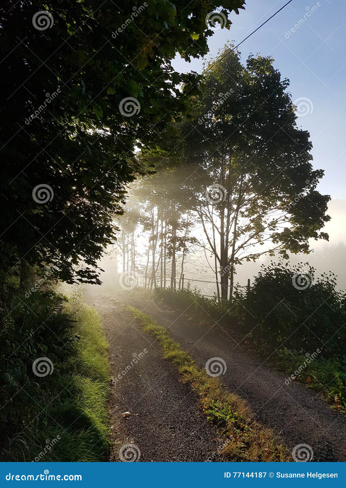 Early September morning stock image. Image of autumn - 77144187