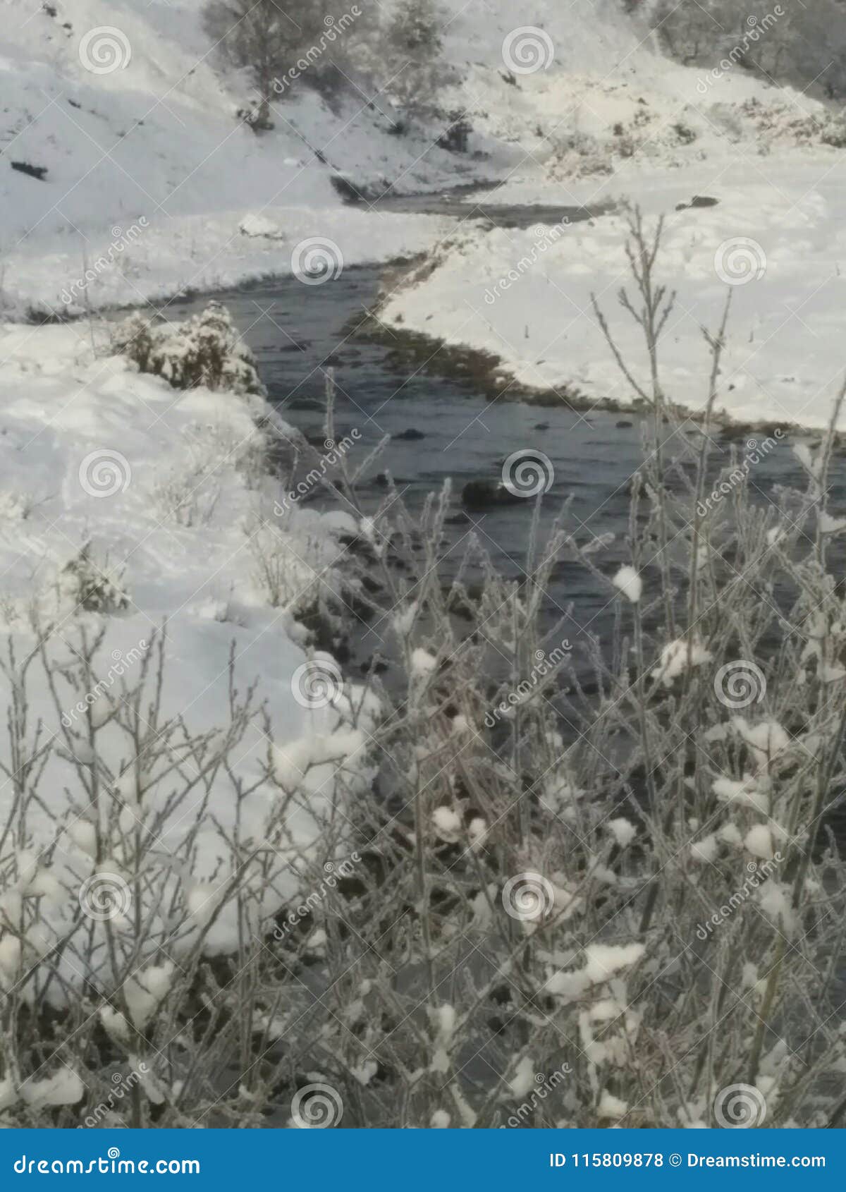 Early Snow stock photo. Image of snow, cold, crisp, early - 115809878