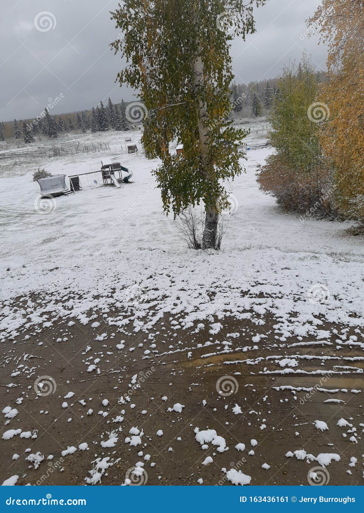 Early snow stock image. Image of landscape, snow, cold - 163436161