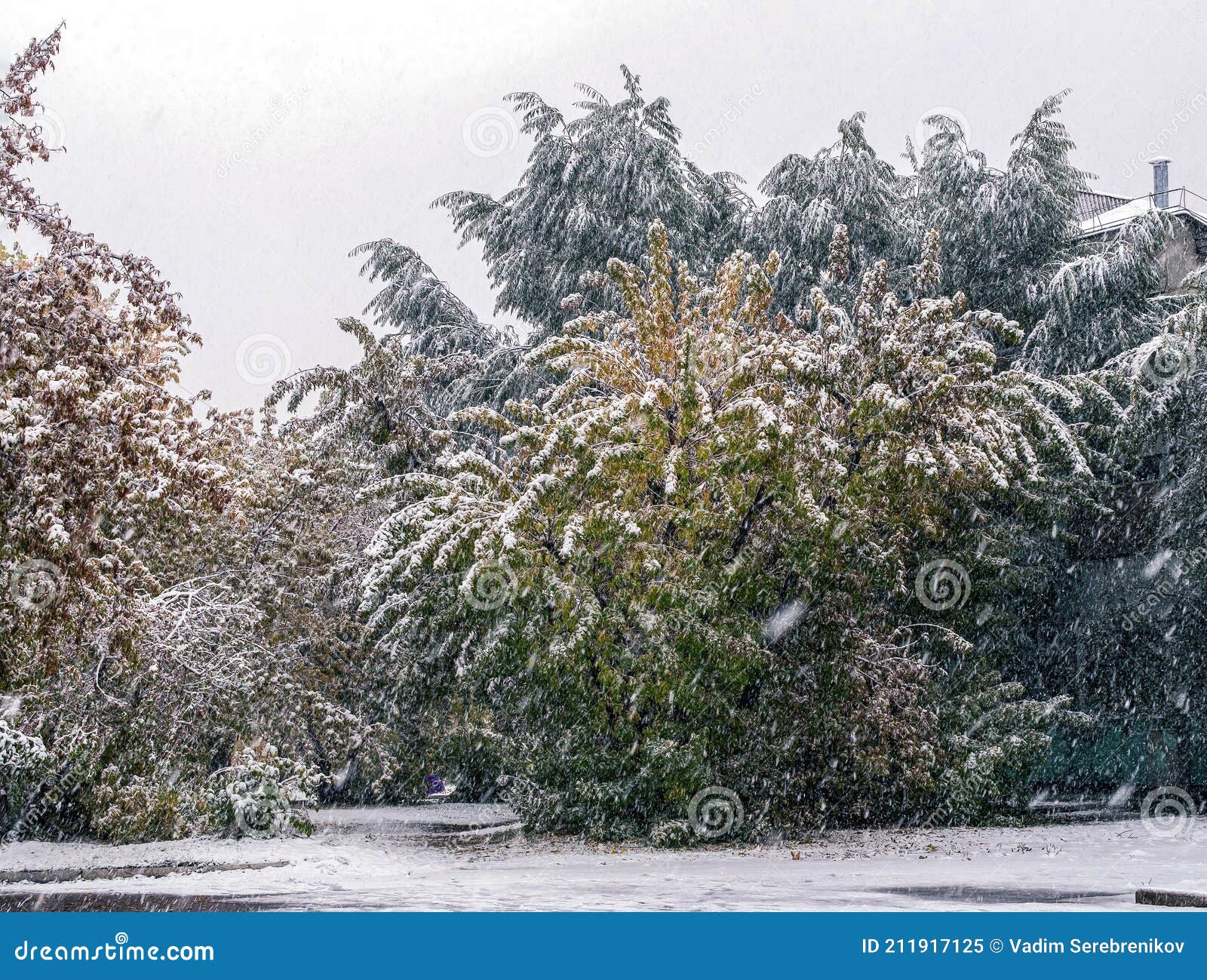 Early Snowfall in the City. Snow Storm Stock Image - Image of nature ...