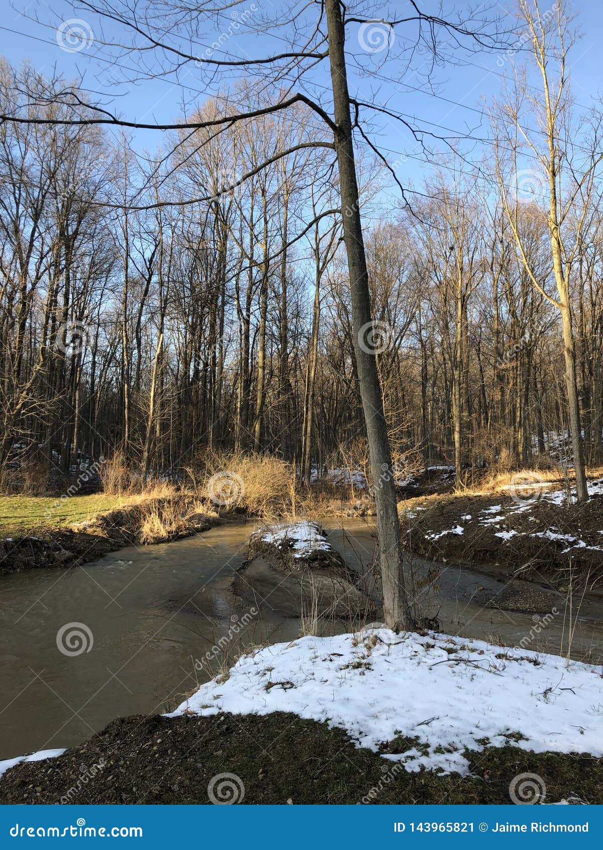 Early spring afternoon stock image. Image of sunny, snowfall - 143965821